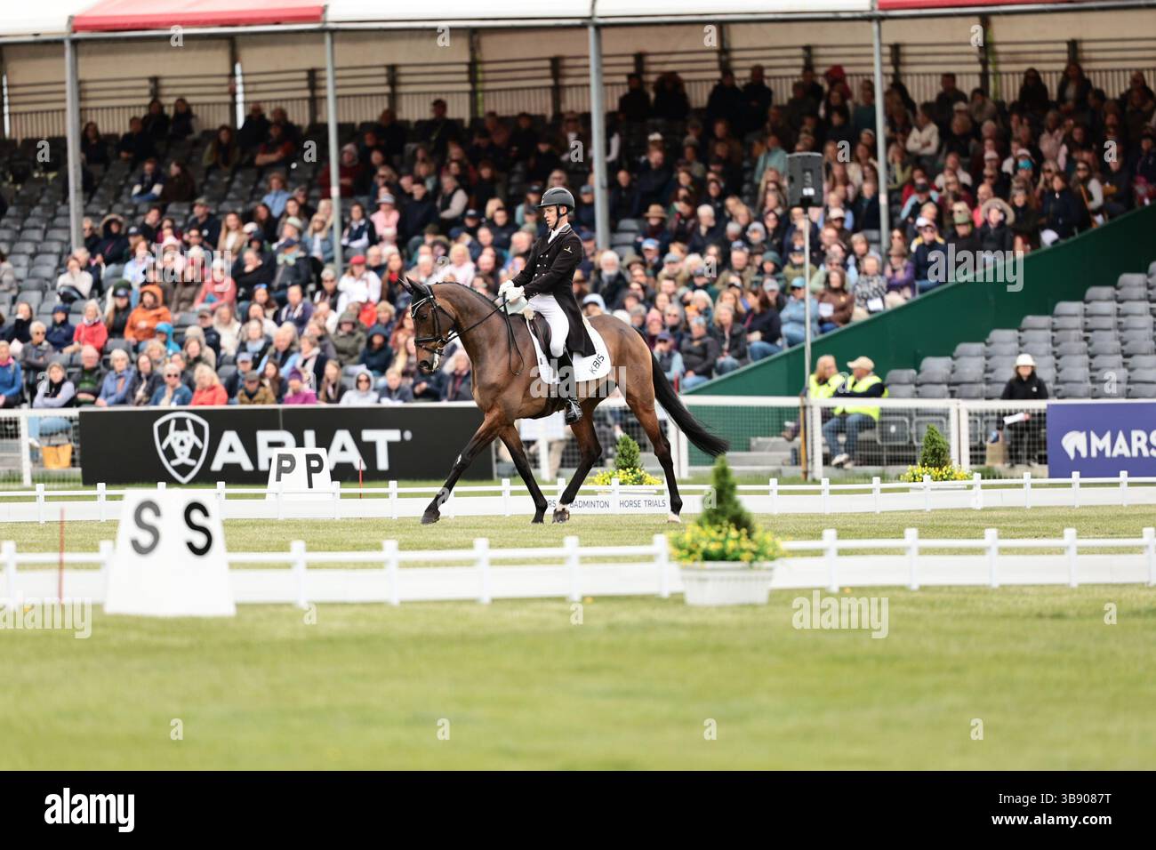 Tom Rowland of Great Britain with Quintilius during the dressage at the ...