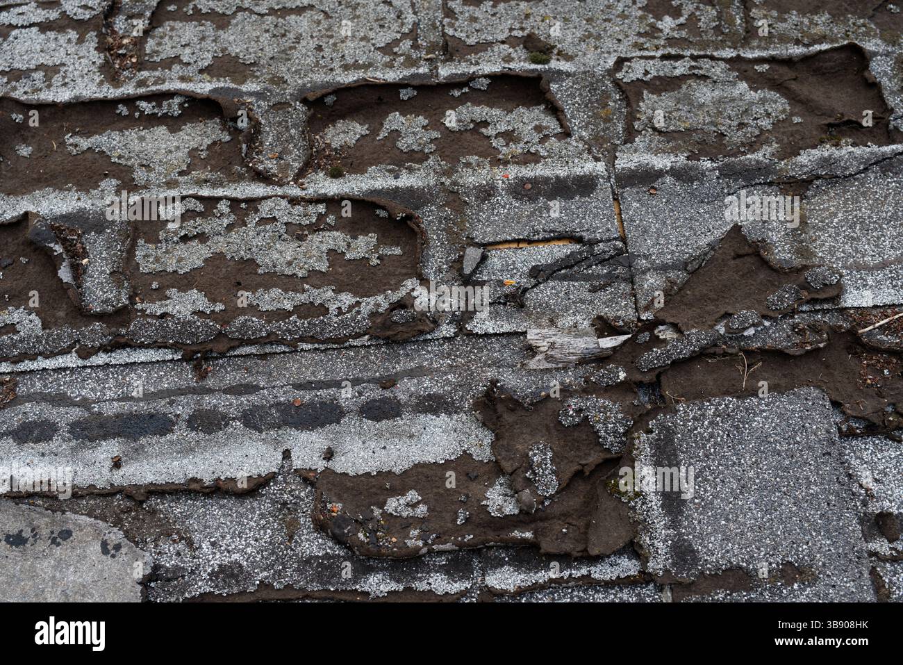 Peeling, worn asphalt shingles reveal a deteriorating roof surface ...