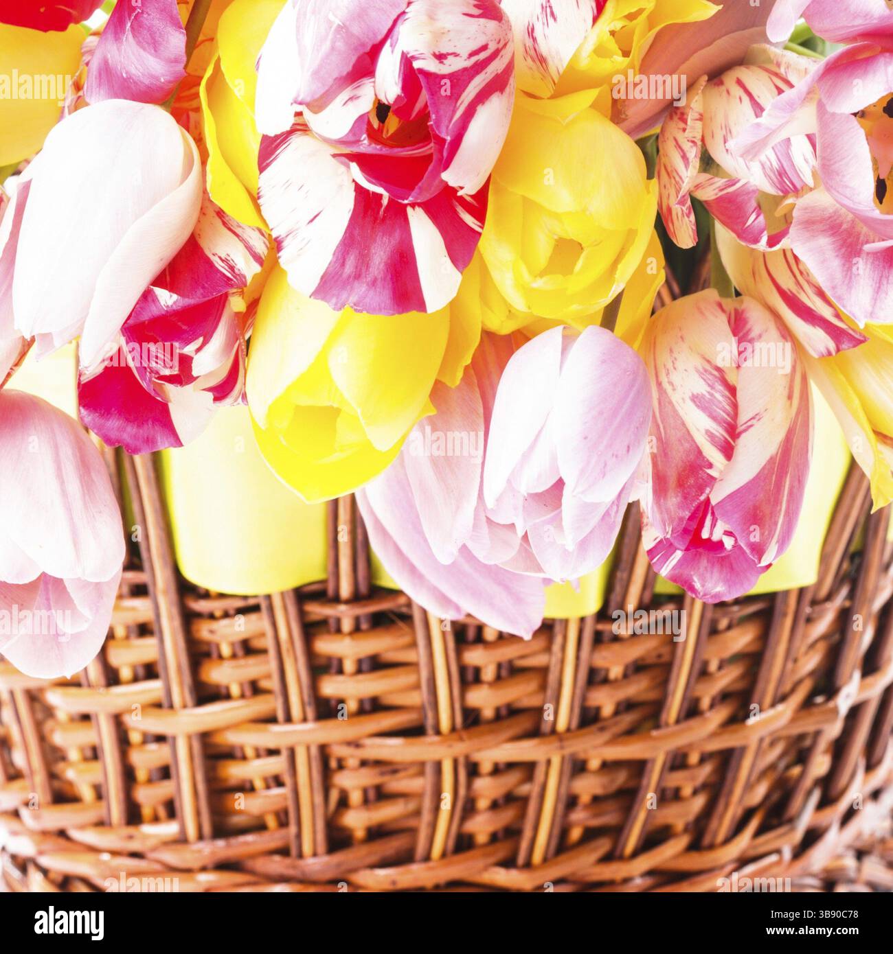 Close up basket many different hi-res stock photography and images - Alamy