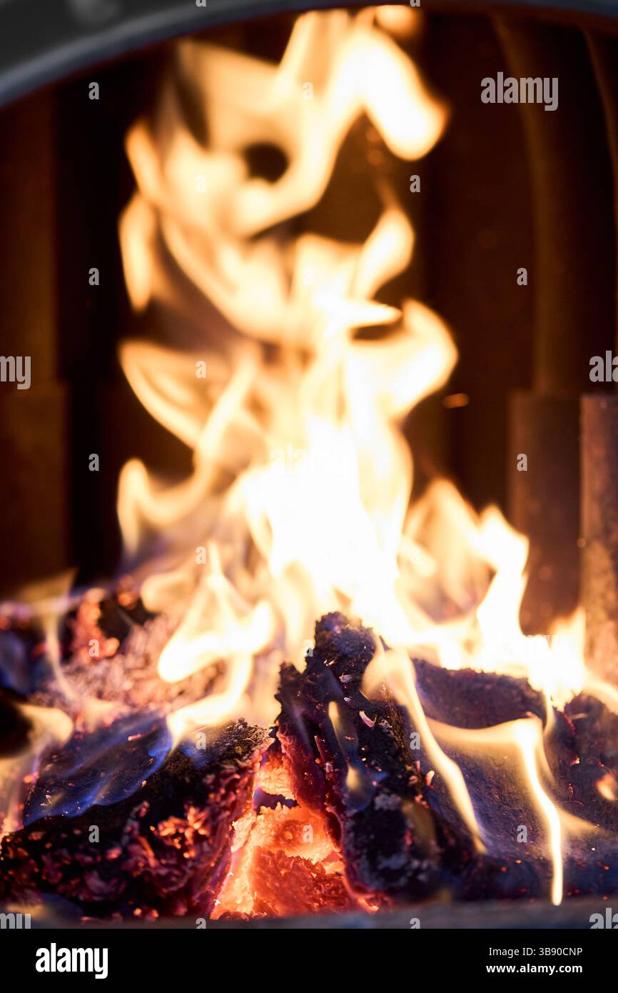 RUF type fuel briquettes made of birch and oak alternative ...