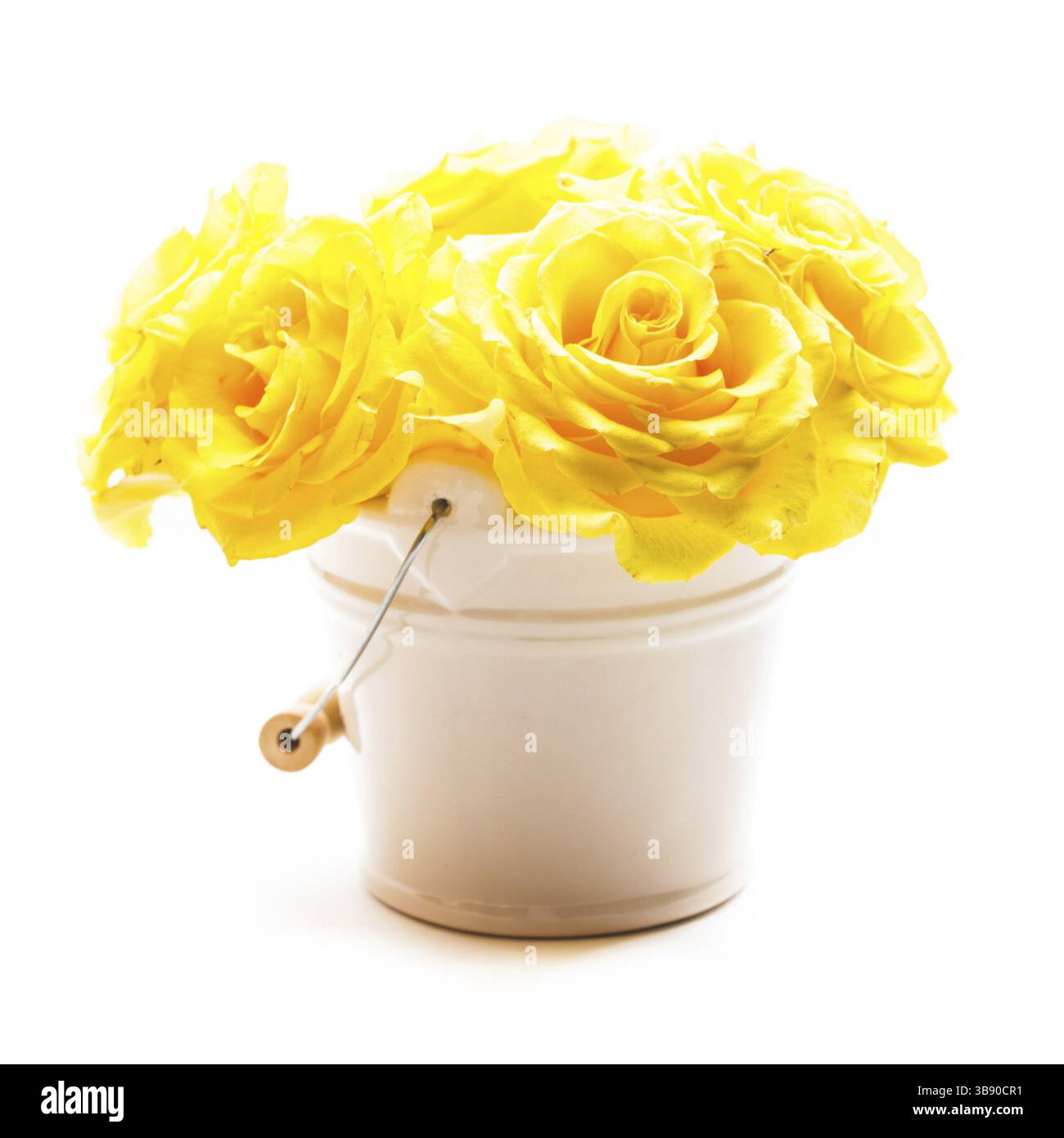 Roses on photo Cut Out Stock Images & Pictures - Alamy