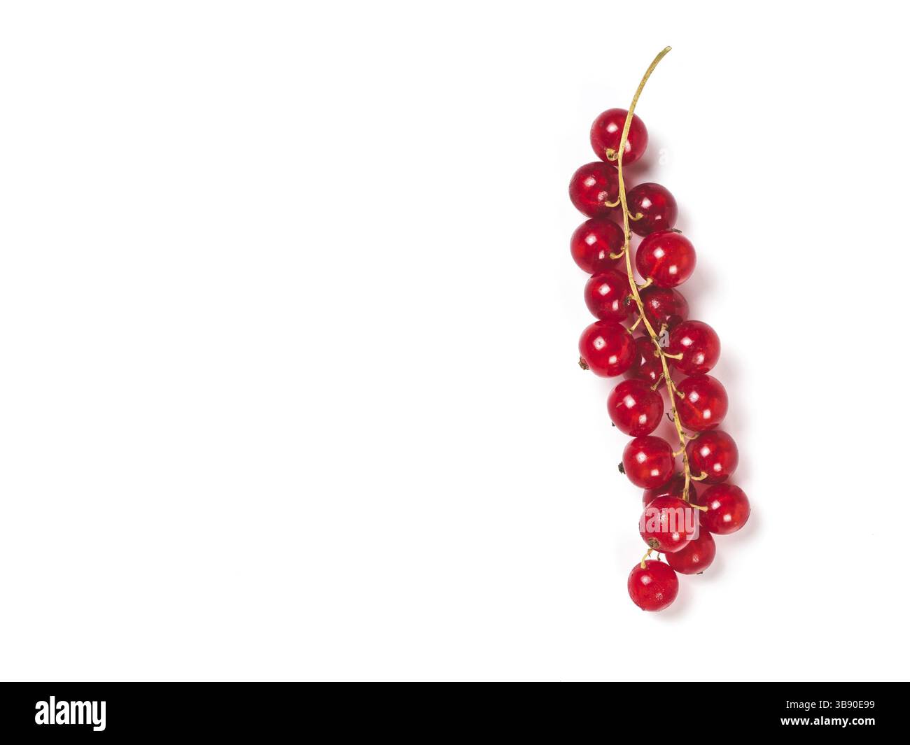 Food concept text on Cut Out Stock Images & Pictures - Alamy