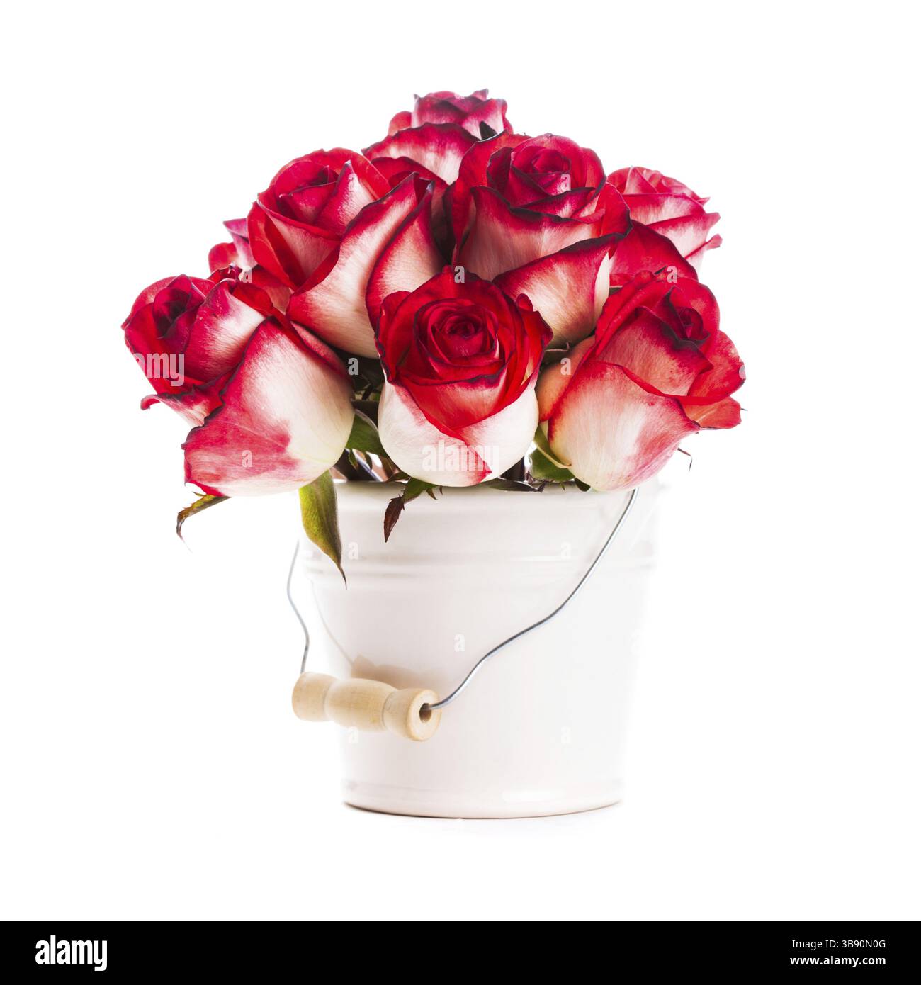 Bucket roses Cut Out Stock Images & Pictures - Alamy