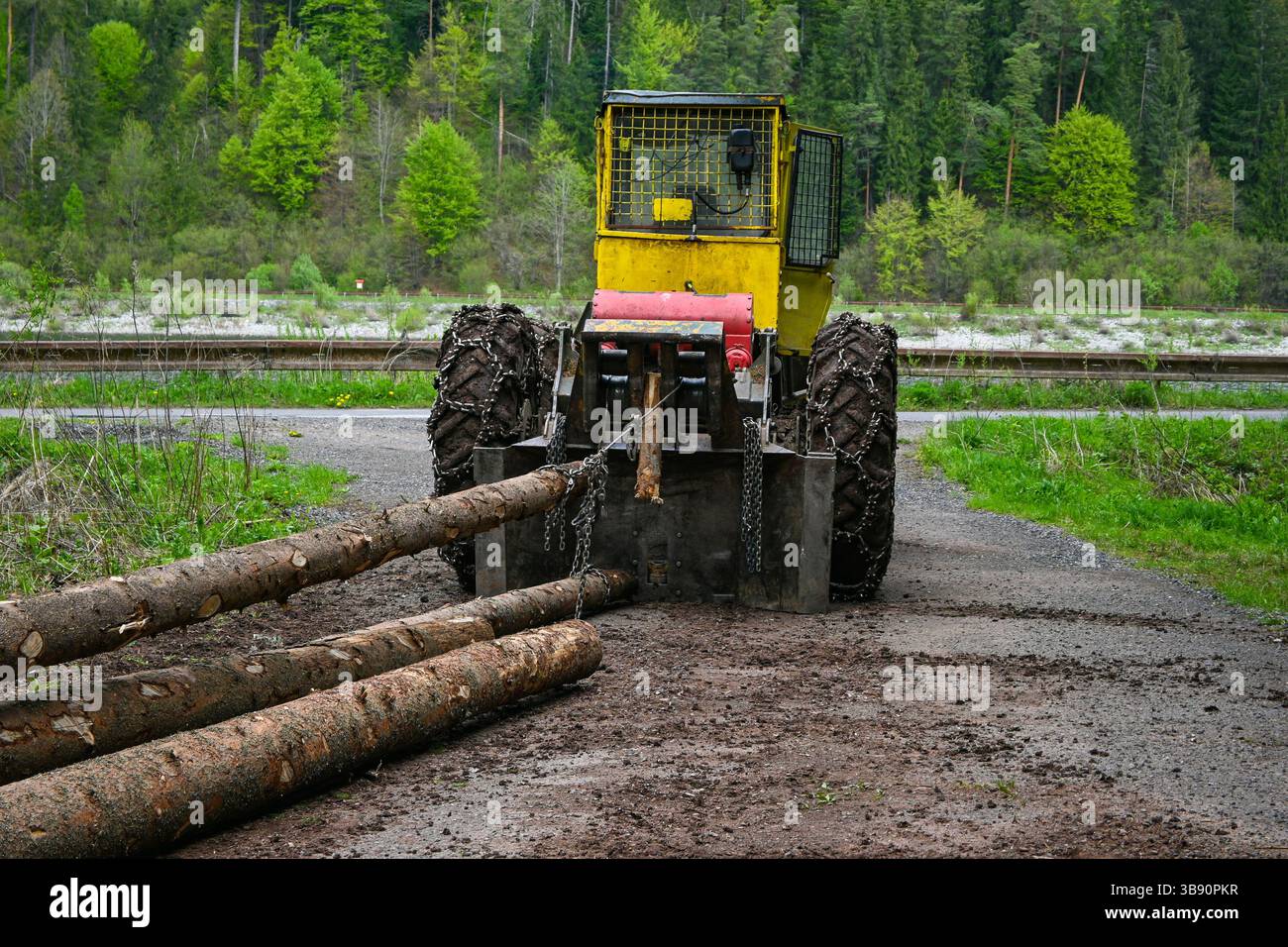 Forestry machine pulling logs with chains in a forest area Stock Photo ...