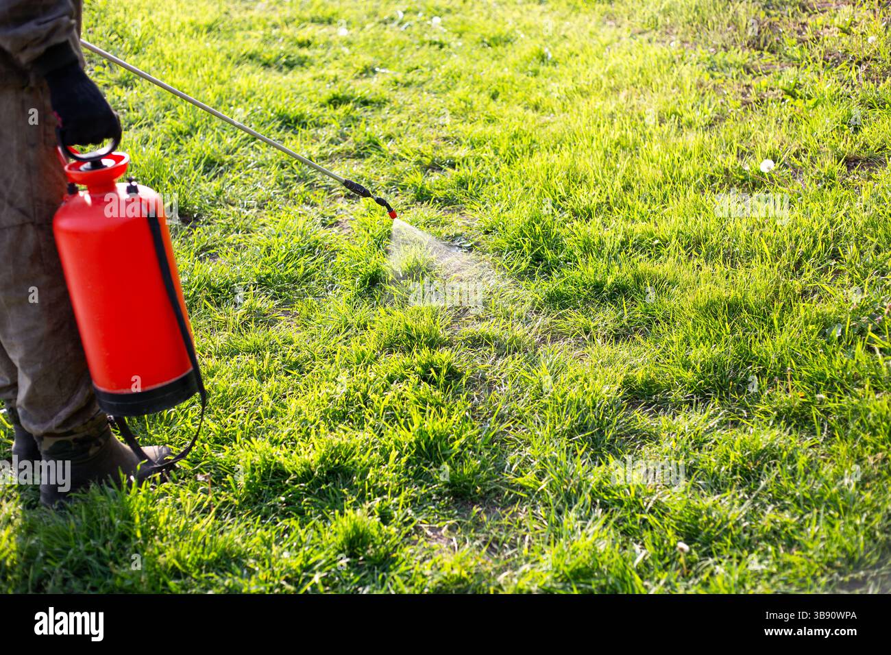 Sprayerweed hi-res stock photography and images - Alamy