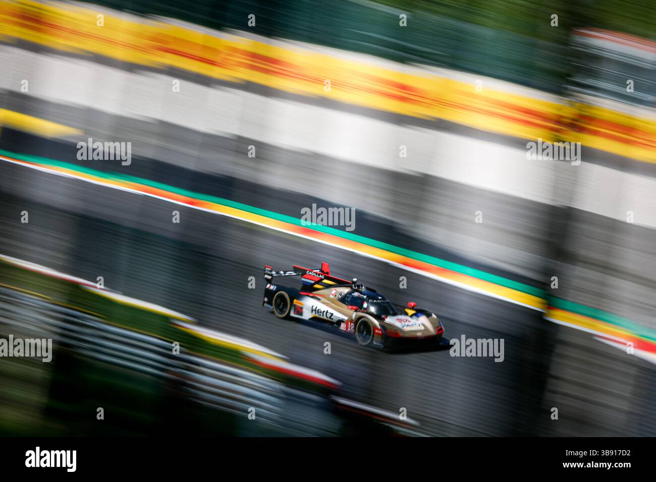 12 LYNN Alex (gbr), NATO Norman (fra), STEVENS Will (gbr), Cadillac Hertz Team Jota, Cadillac V ...