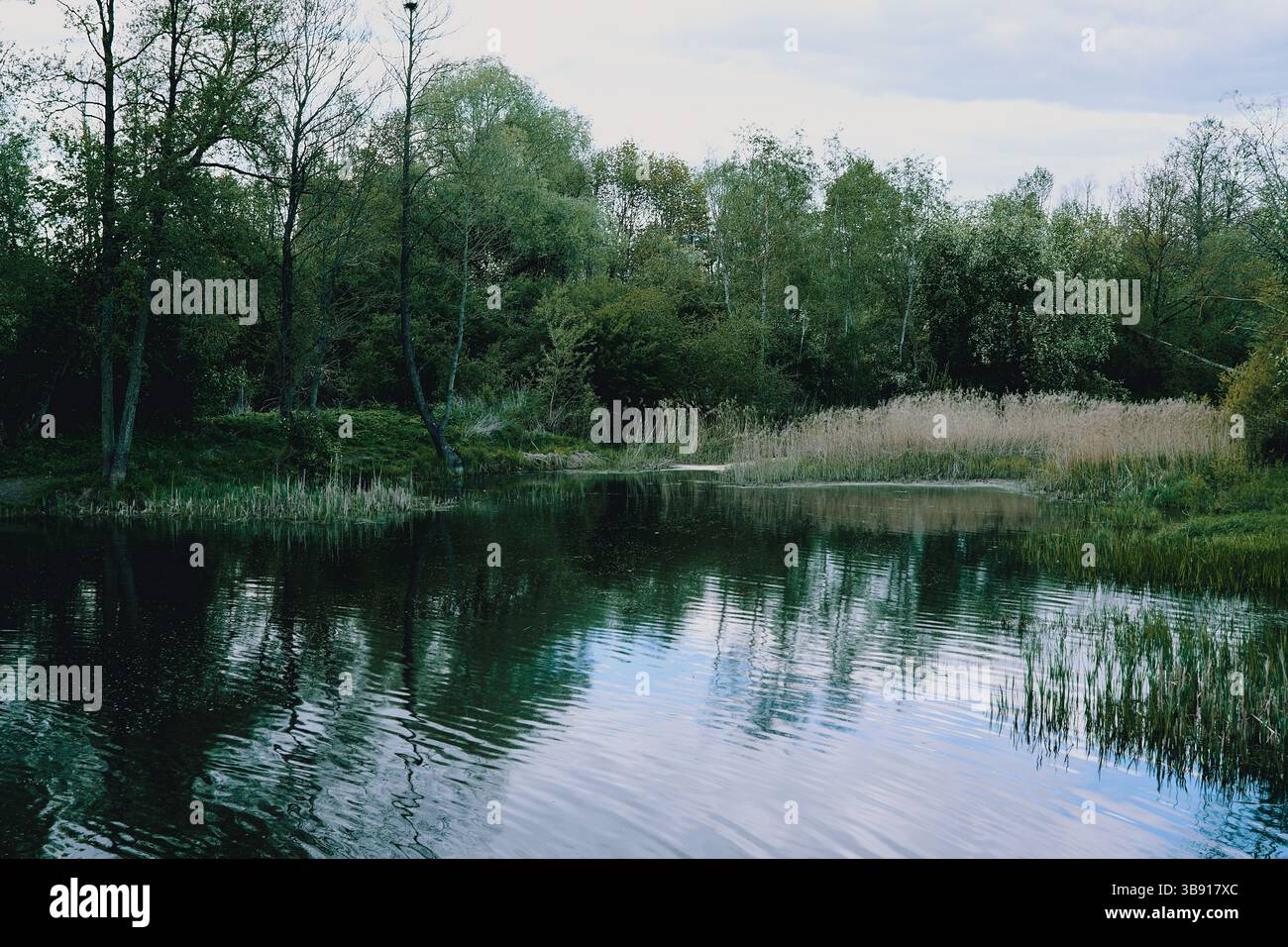 Surrounding environment hi-res stock photography and images - Alamy