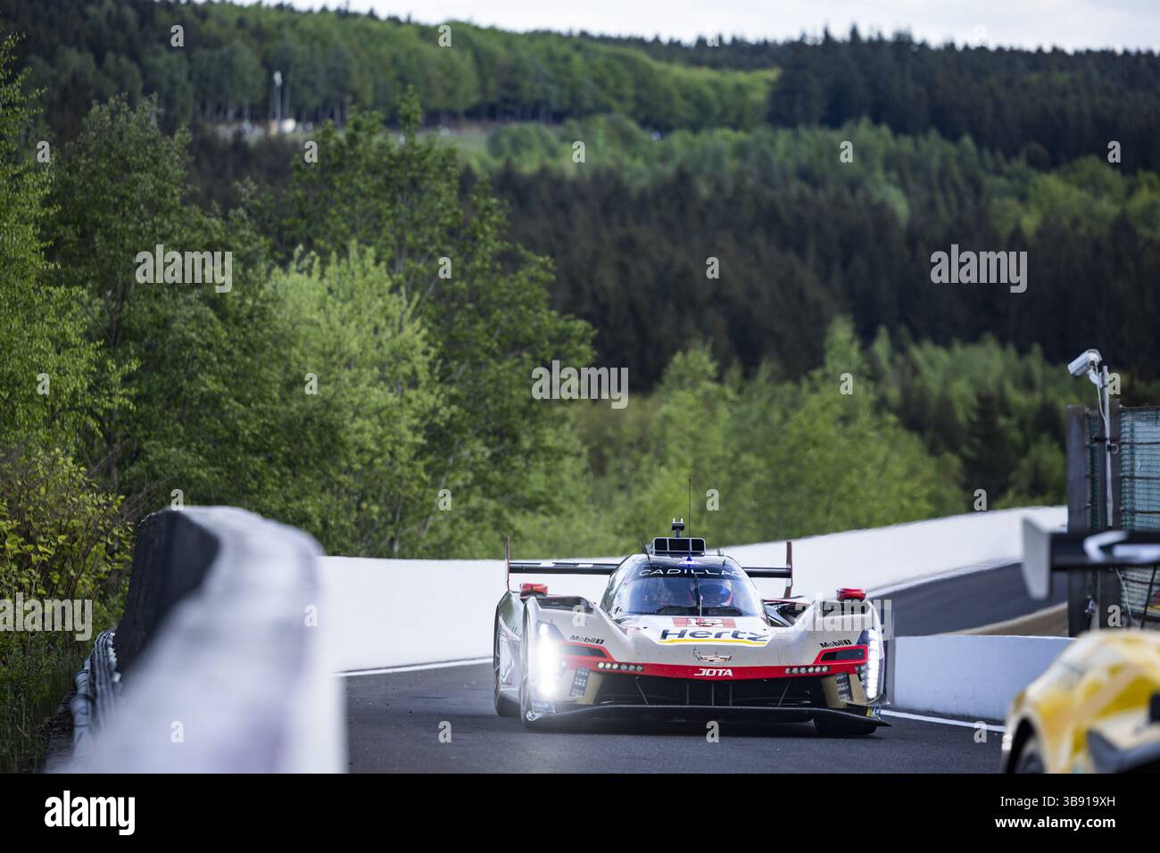 12 LYNN Alex (gbr), NATO Norman (fra), STEVENS Will (gbr), Cadillac Hertz Team Jota, Cadillac V ...