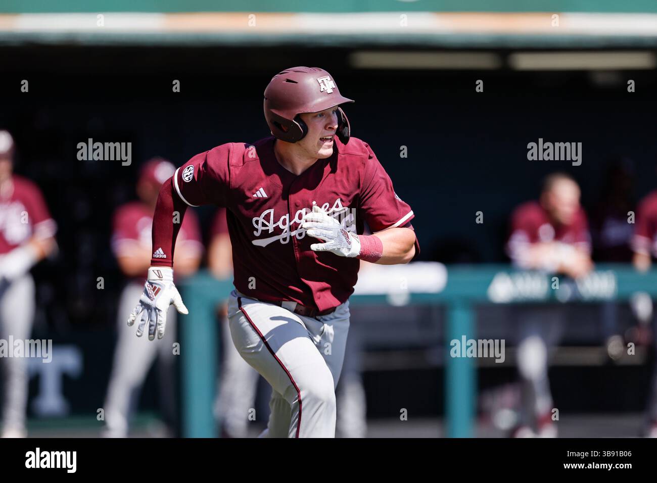 Texas A&M Aggies catcher Bear Harrison (16) hustles to first base ...