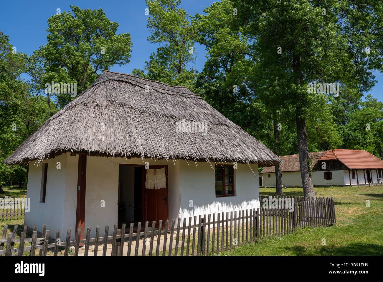 old roof house covered with reeds, peasant house in the middle of ...