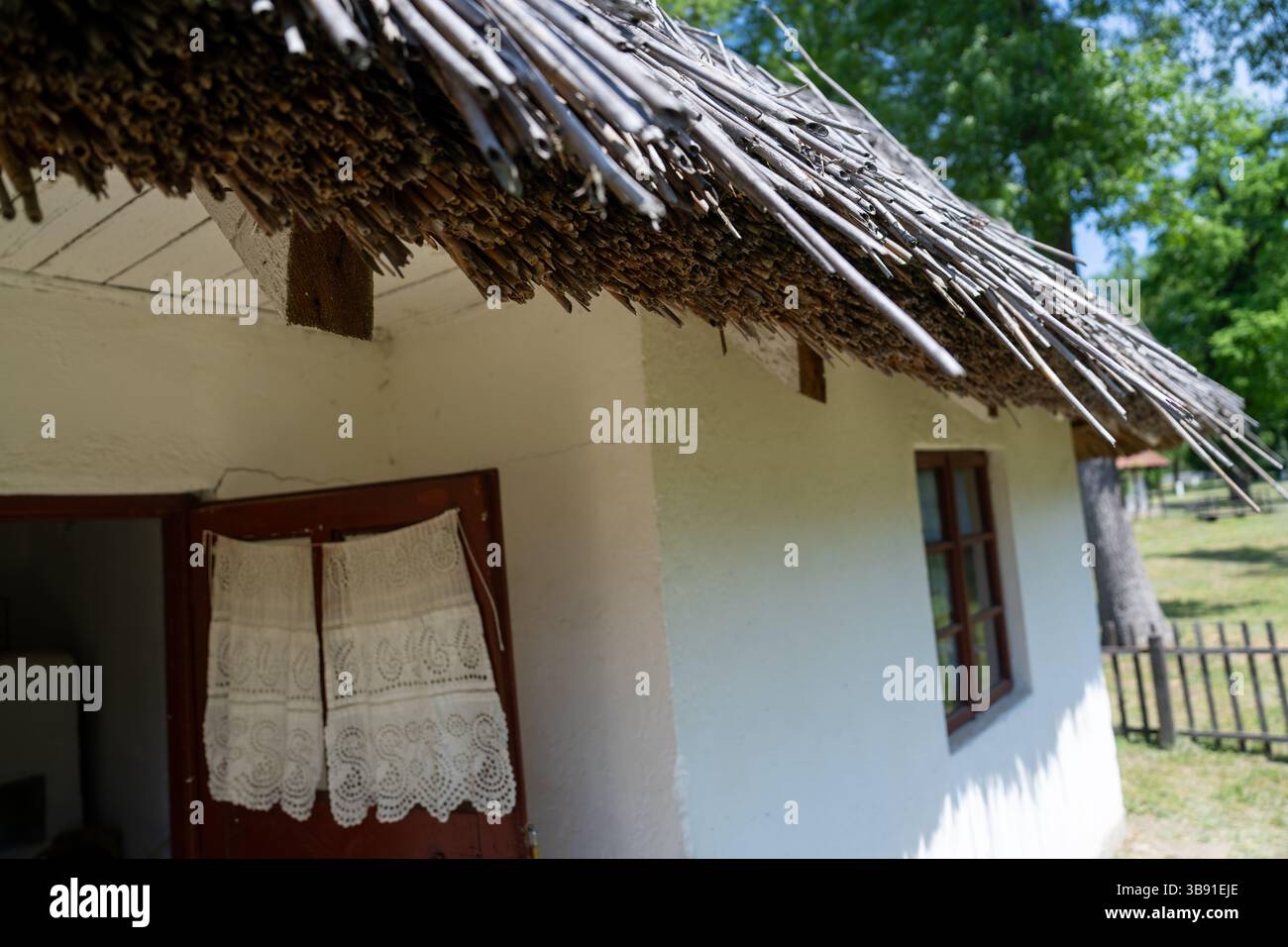 old roof house covered with reeds, peasant house in the middle of ...