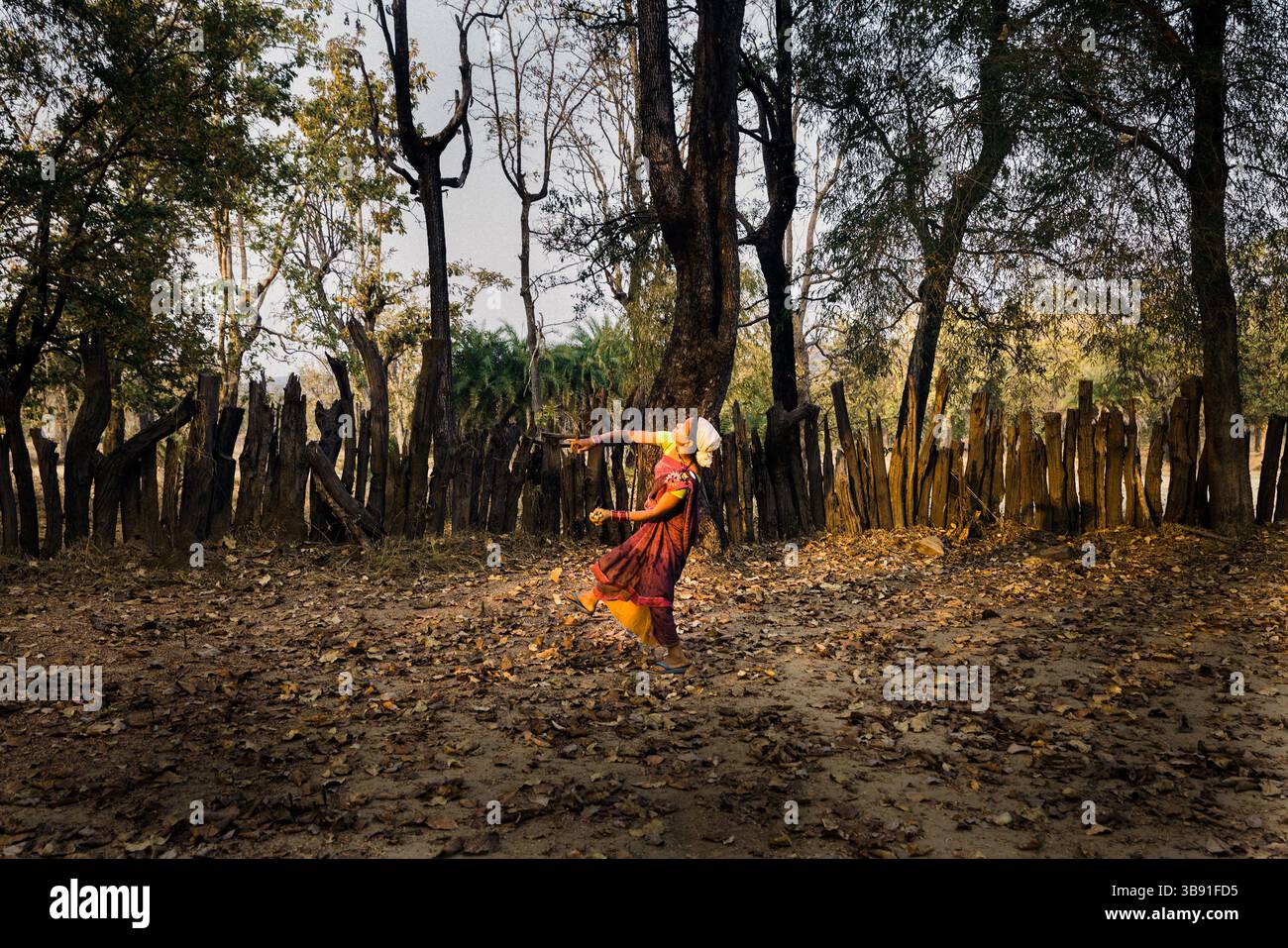 April 3, 2023, Narayanpur, Florida, India: Sambati Darro, 29, looks for ...