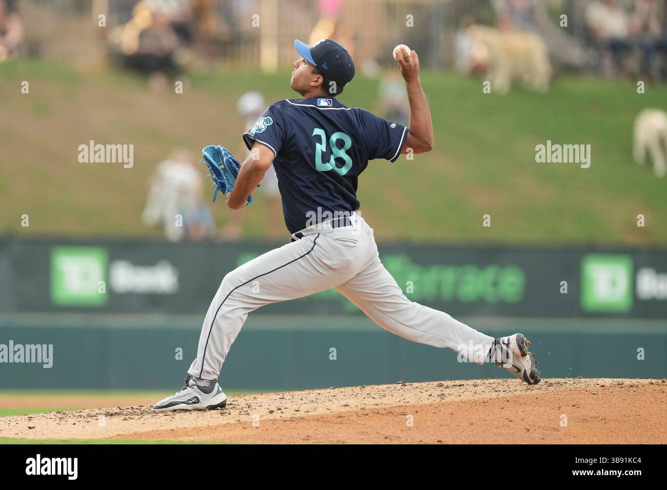 Starting pitcher Alain Pena (28) of the Asheville Tourists delivers a ...