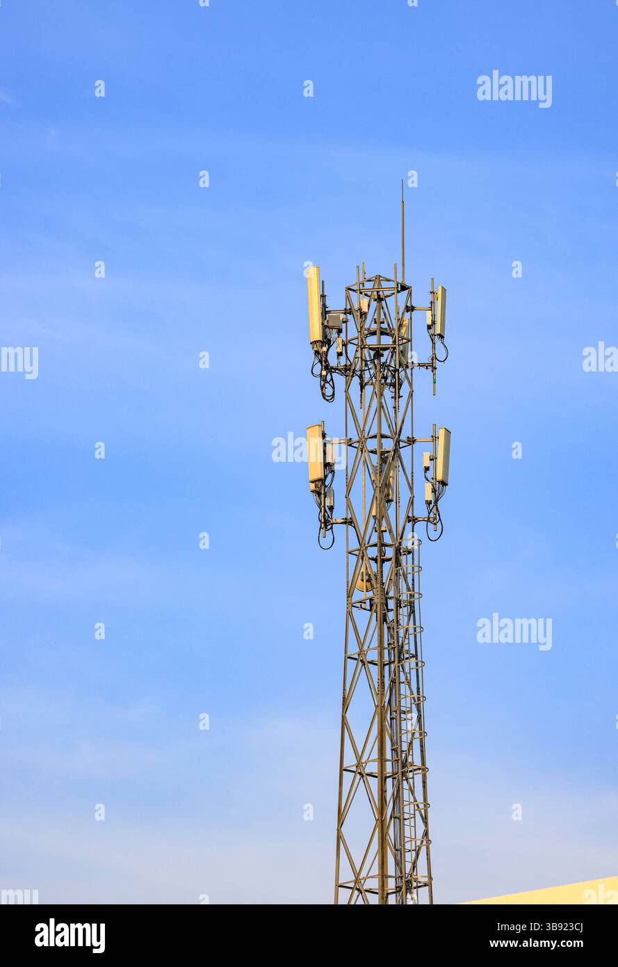 Wireless Communication Antenna pole, Mobile phone mast antenna pole on ...