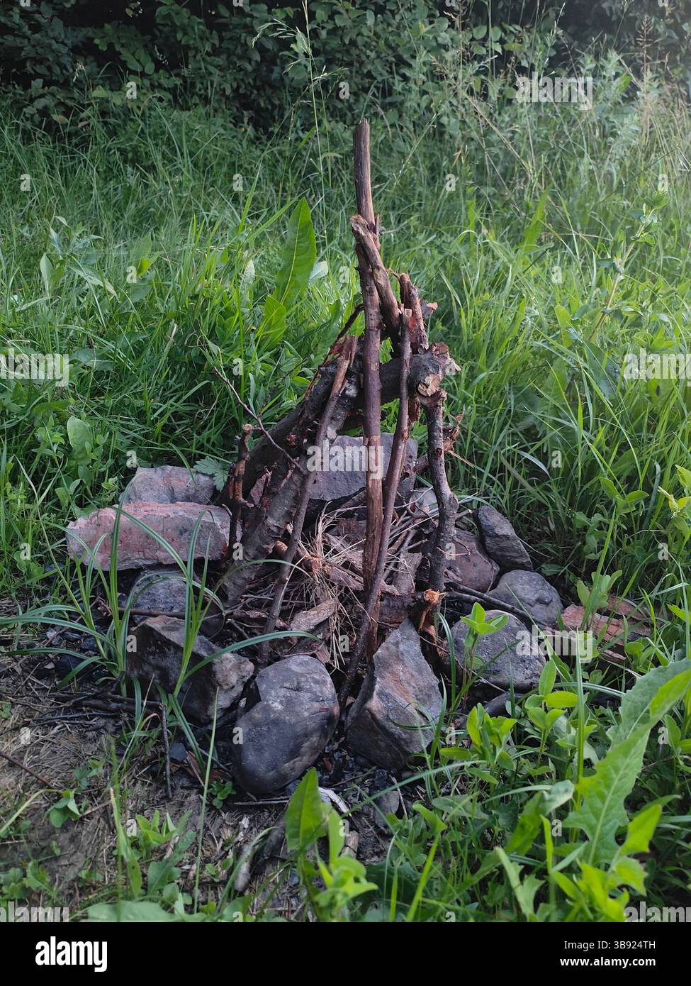 Wood for campfire and stones in nature on grass. Bonfire and camping ...