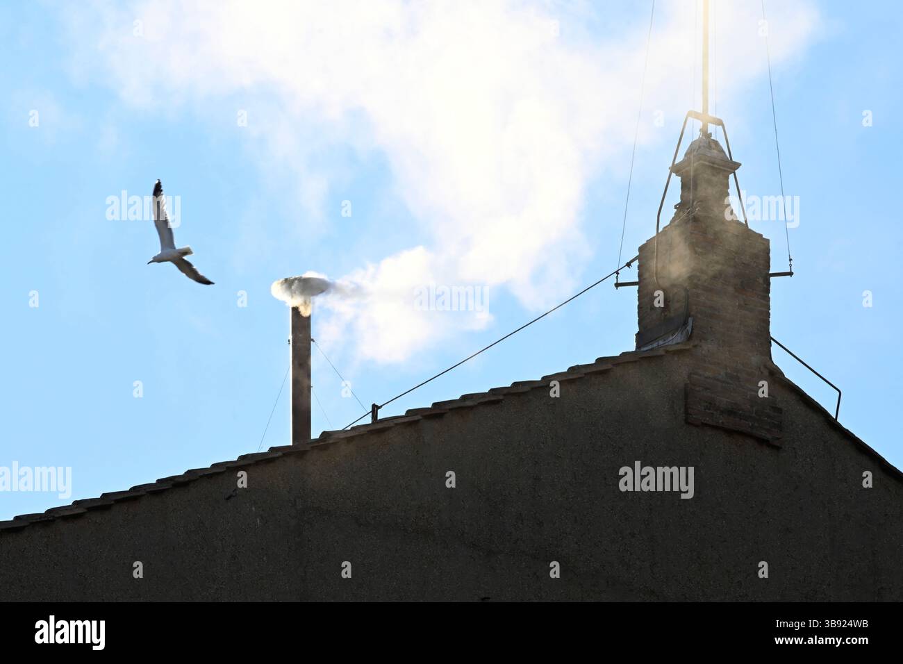 White smoke at the fourth vote of the Conclave, on May 8, 2025, in ...