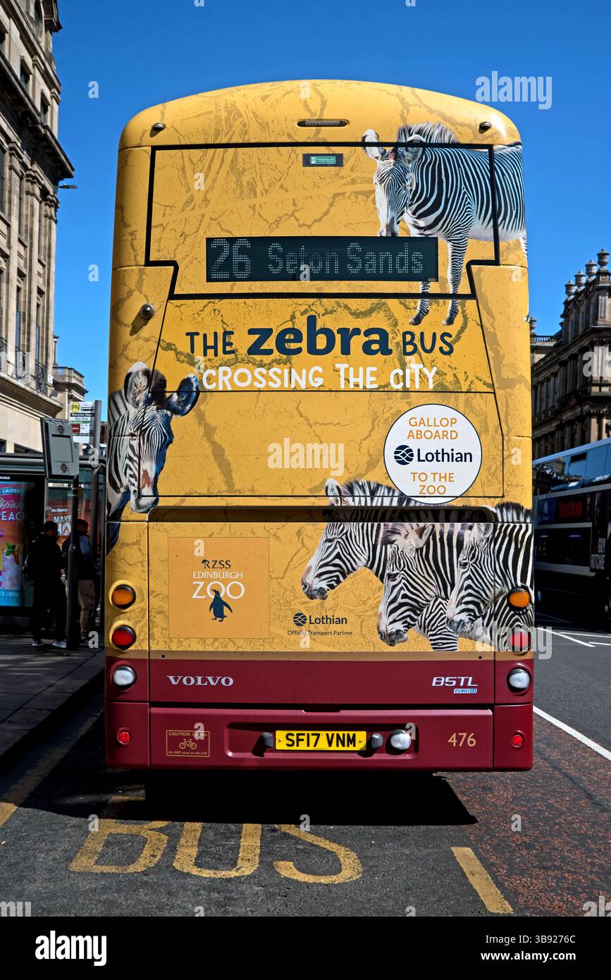 The Zebra Bus, Edinburgh Zoo advert with zebras on the back of a ...