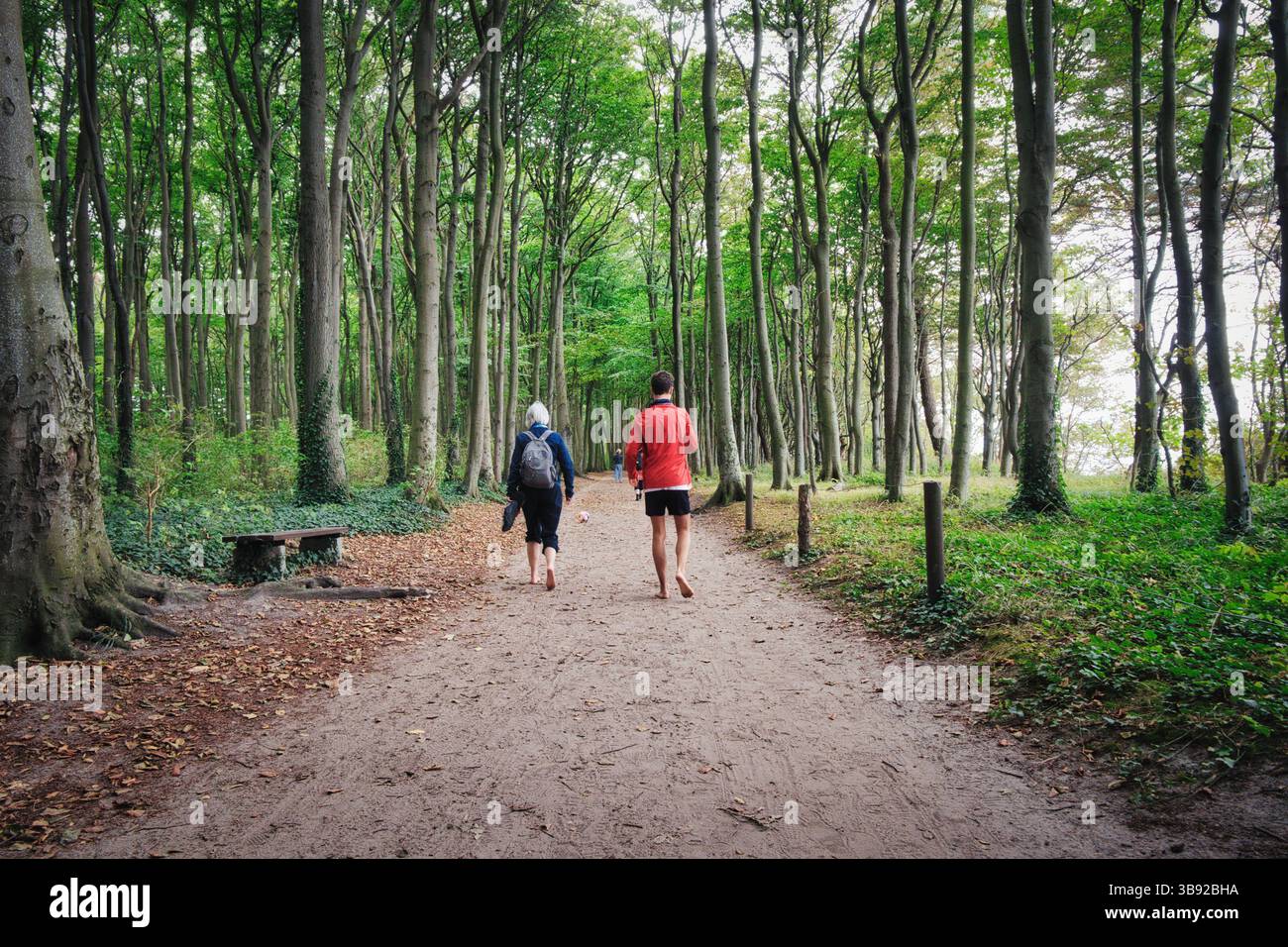 Pedestrians walking on path hi-res stock photography and images - Alamy