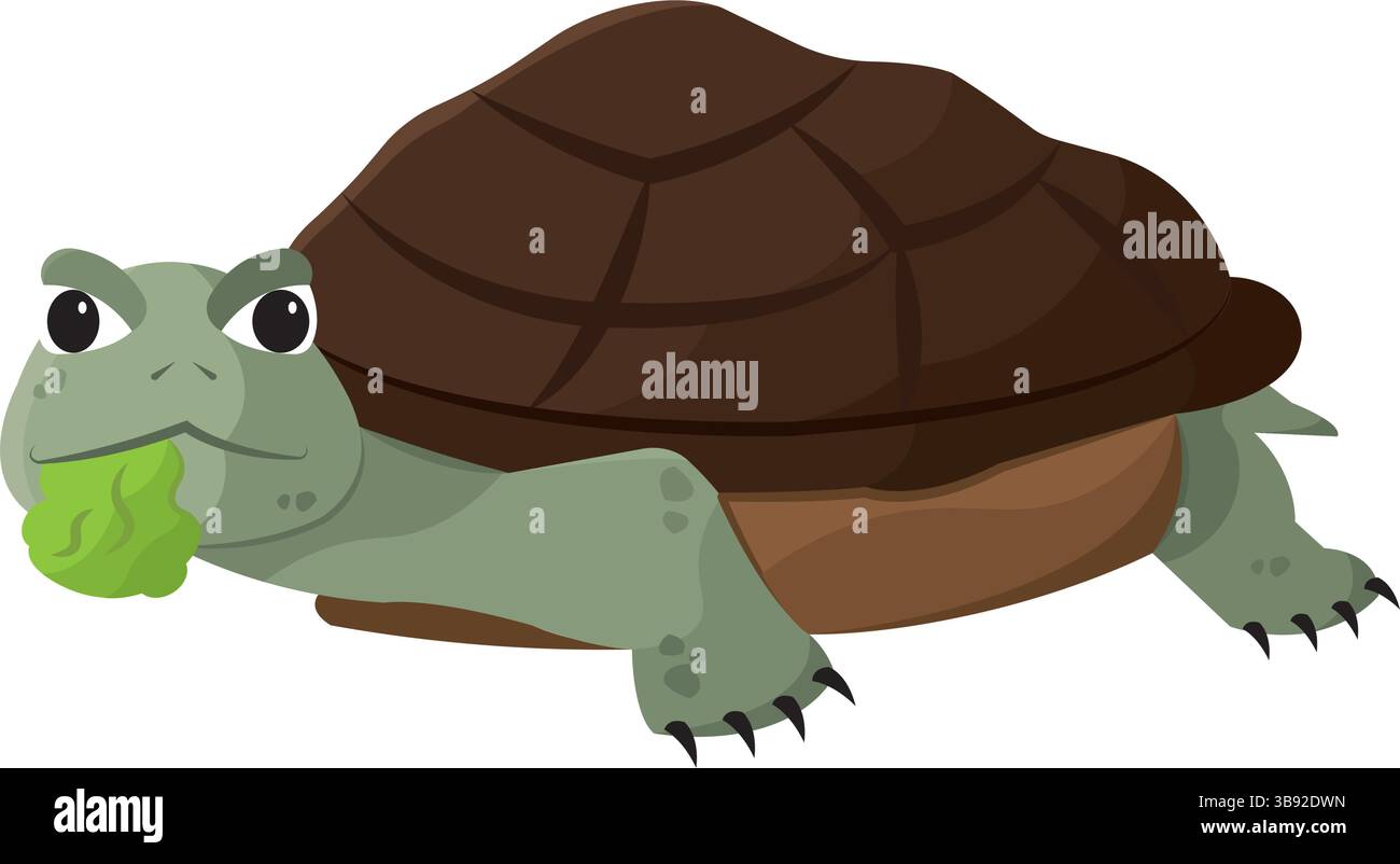 Cute turtle pet. Vector illustration Stock Vector Image & Art - Alamy
