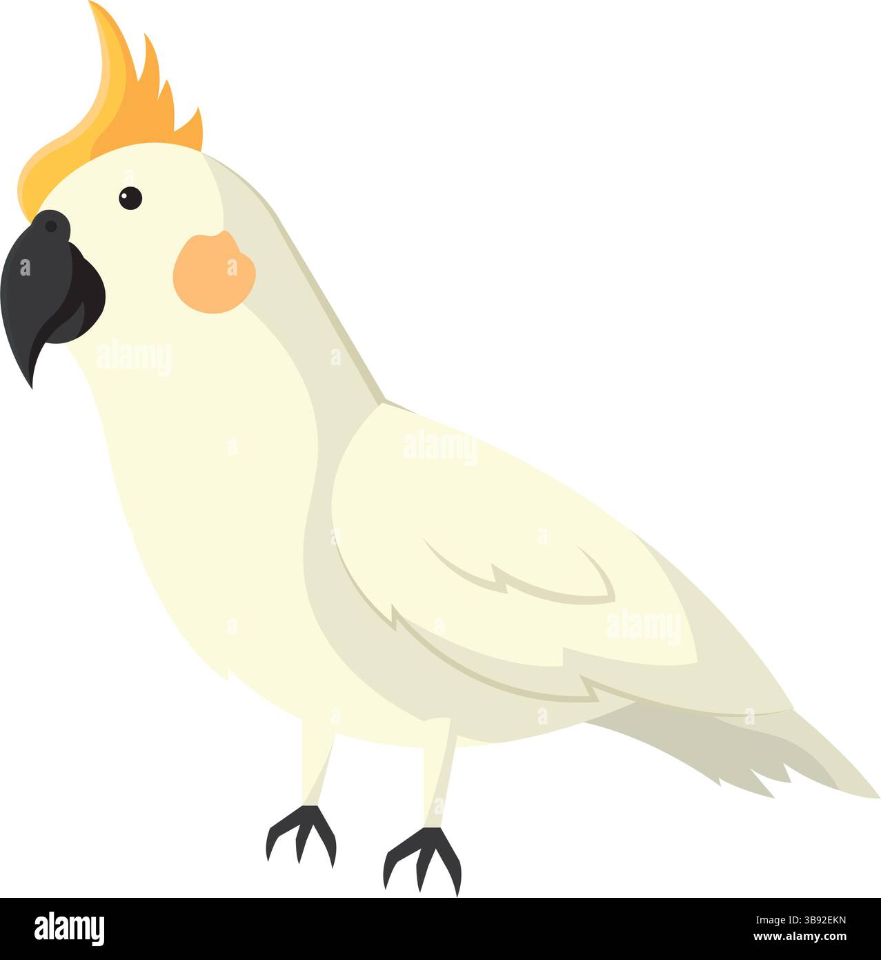Cute cockatoo pet. Vector illustration Stock Vector Image & Art - Alamy