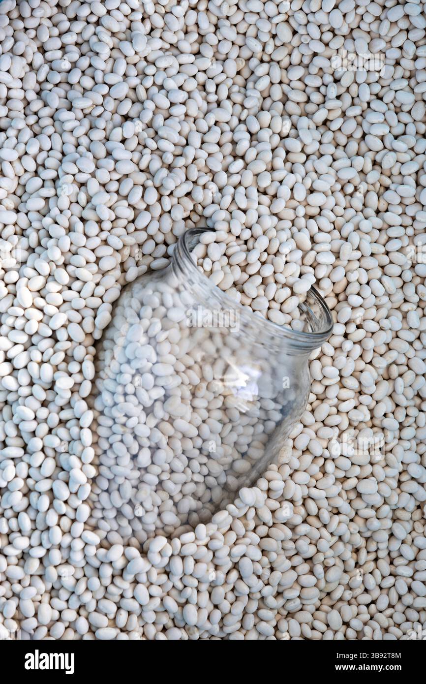 White Beans Spilled from a Jar — Natural Food Storage. Healthy dry ...