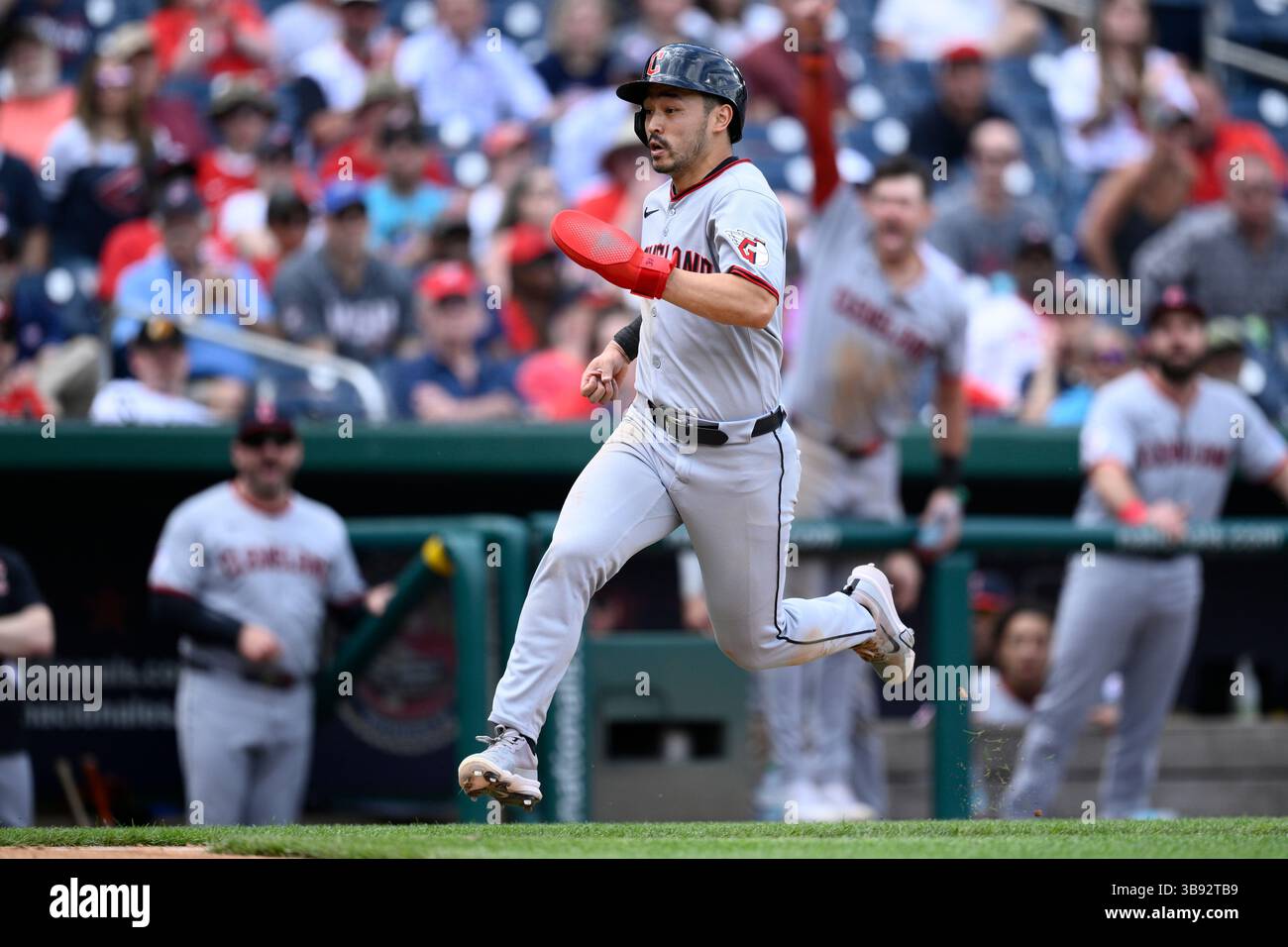 Cleveland Guardians' Steven Kwan in action during a baseball game ...