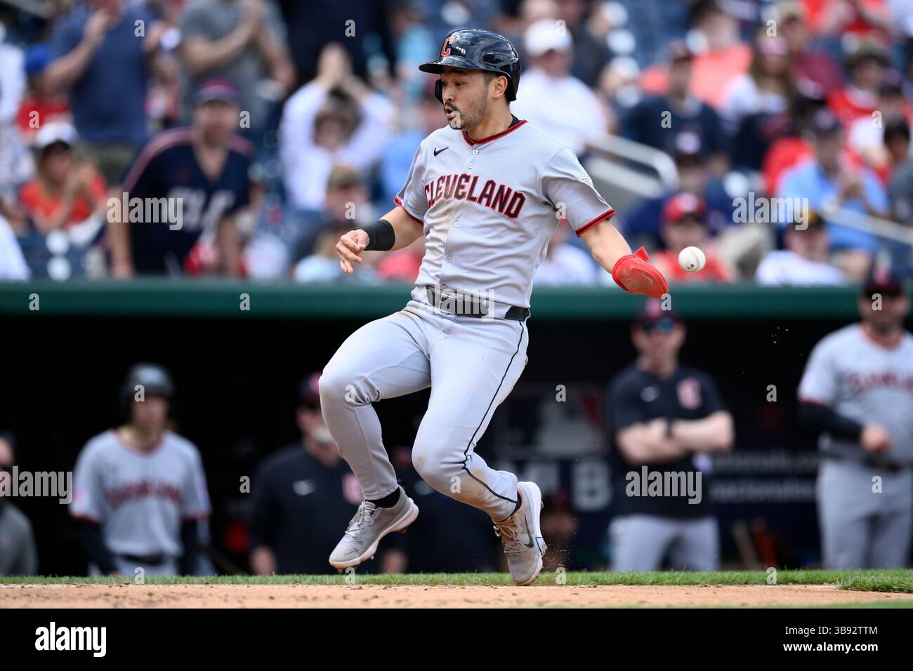 Cleveland Guardians' Steven Kwan in action during a baseball game ...