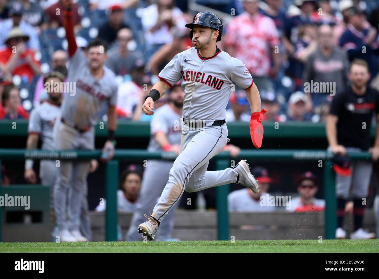 Cleveland Guardians' Steven Kwan in action during a baseball game ...