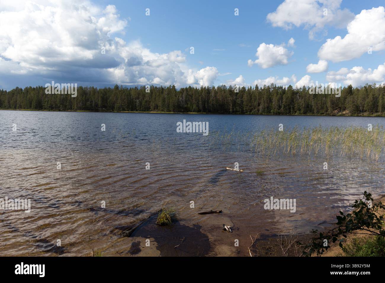 A photo of lake region landscape in Finland Stock Photo - Alamy