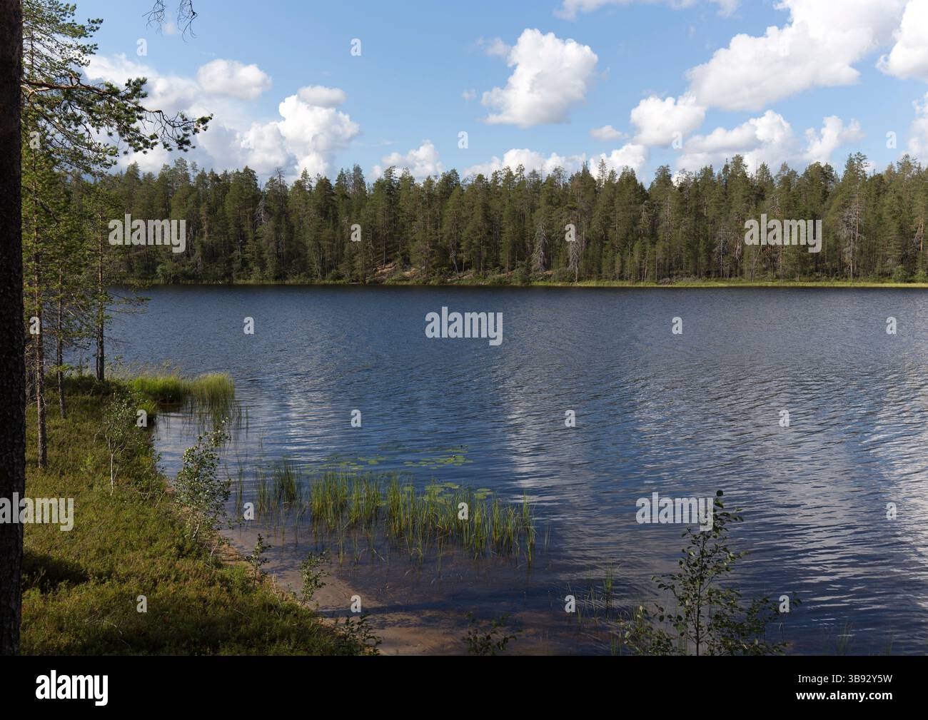 A photo of lake region landscape in Finland Stock Photo - Alamy