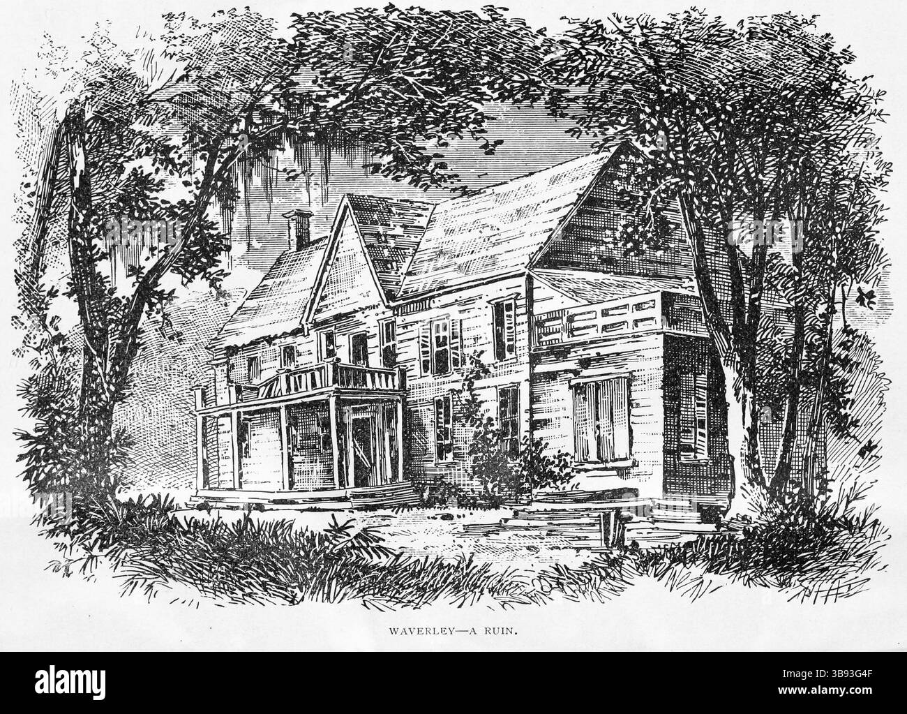 Ruins of Waverly Plantation in Leon County, Florida. 19th century ...