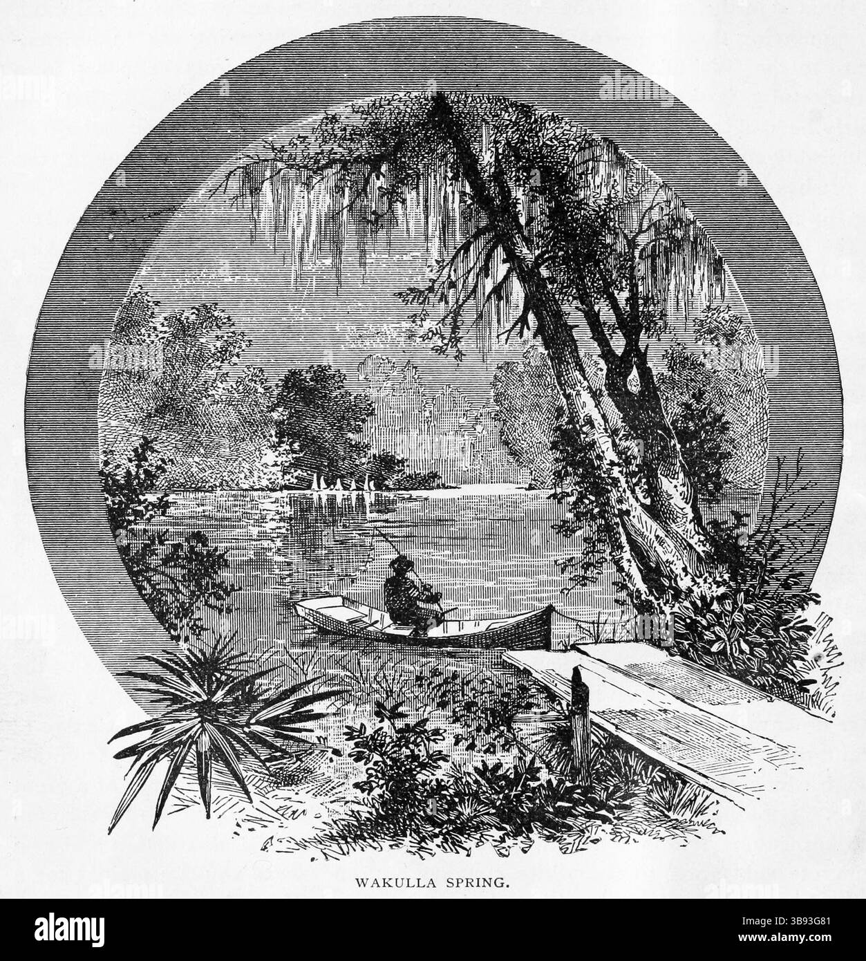 Wakulla Springs, Florida, in the 1880s. 19th century archival ...