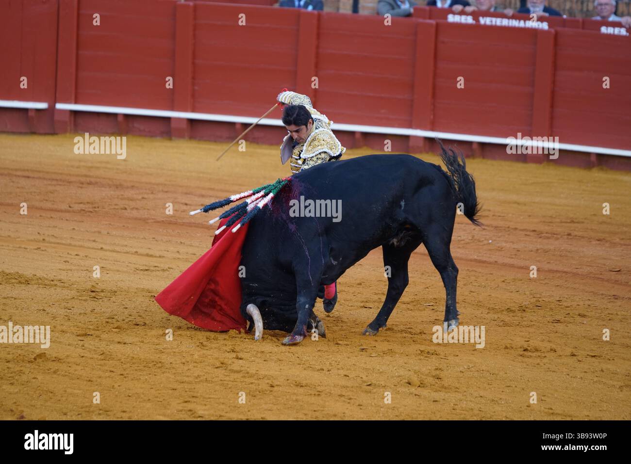 Feria Seville Bullfight 2025. Bullfighting takes place during the Feria ...
