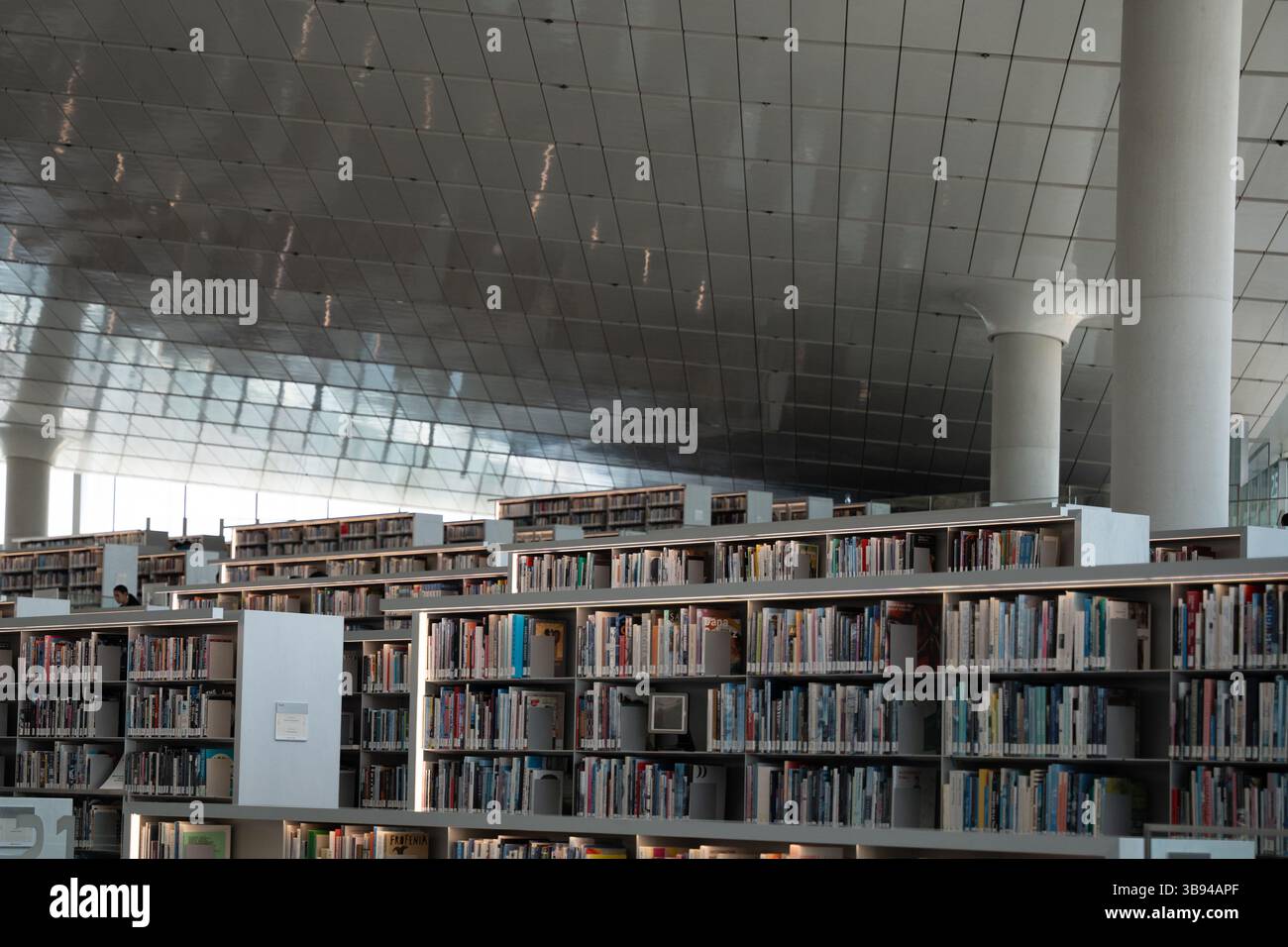 Futuristic and clean modern library in Doha, Qatar. Sleek architecture design with hundreds of ...