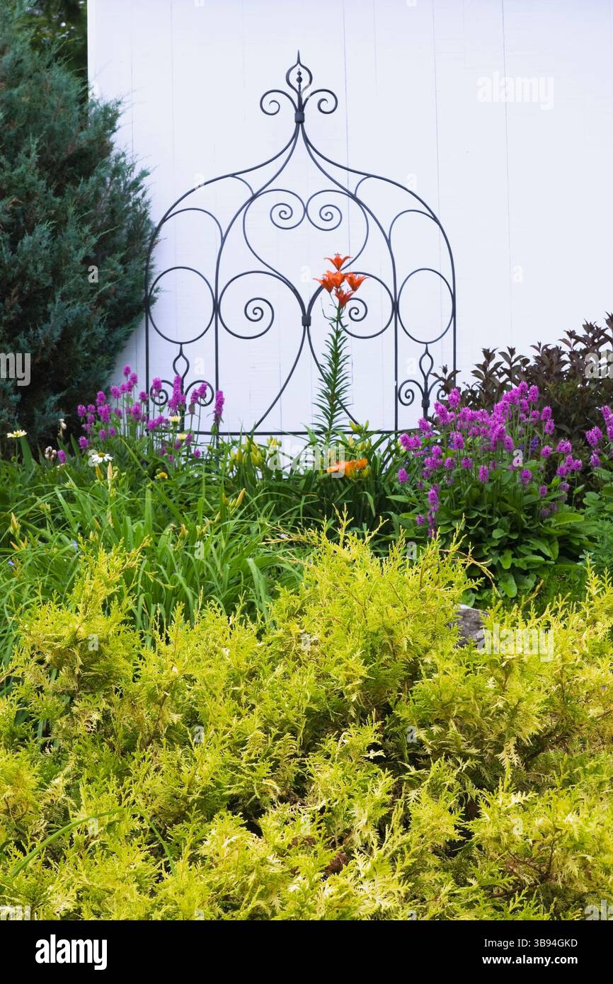 Border with Chamaecyparis piscifera 'Vintage Gold' - False Cypress ...