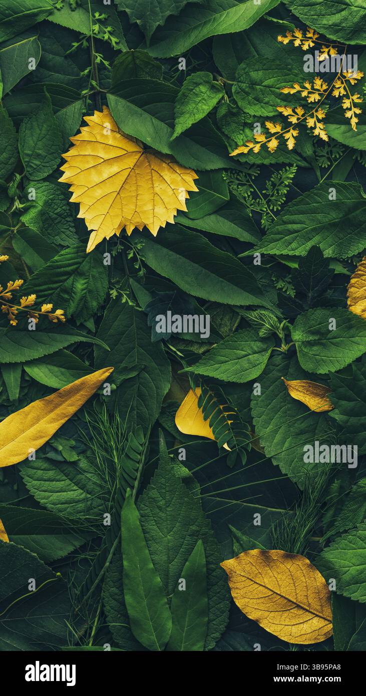 Foliage background with a variety of vibrant plant leaves showing a ...