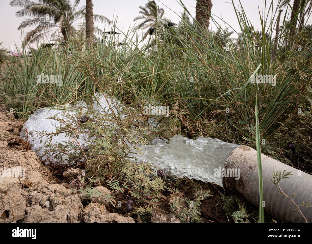 Polluted water iraq hi-res stock photography and images - Alamy