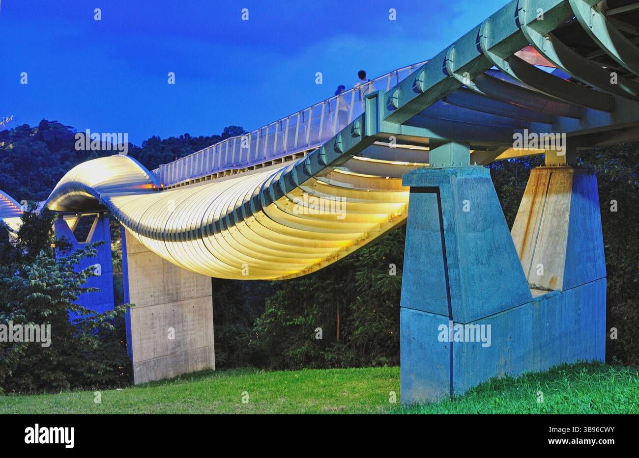 The Henderson Waves pedestrian bridge in Singapore Stock Photo - Alamy