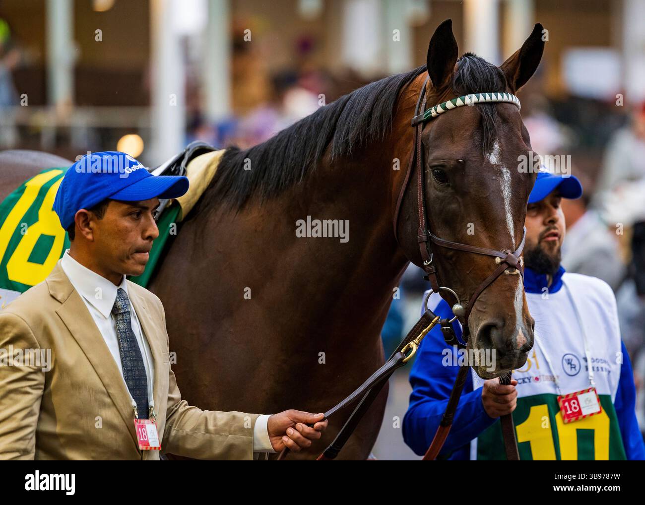 May 3, 2025, Louisville, Ky, USA: Sovereignty (18) in the paddock prior ...