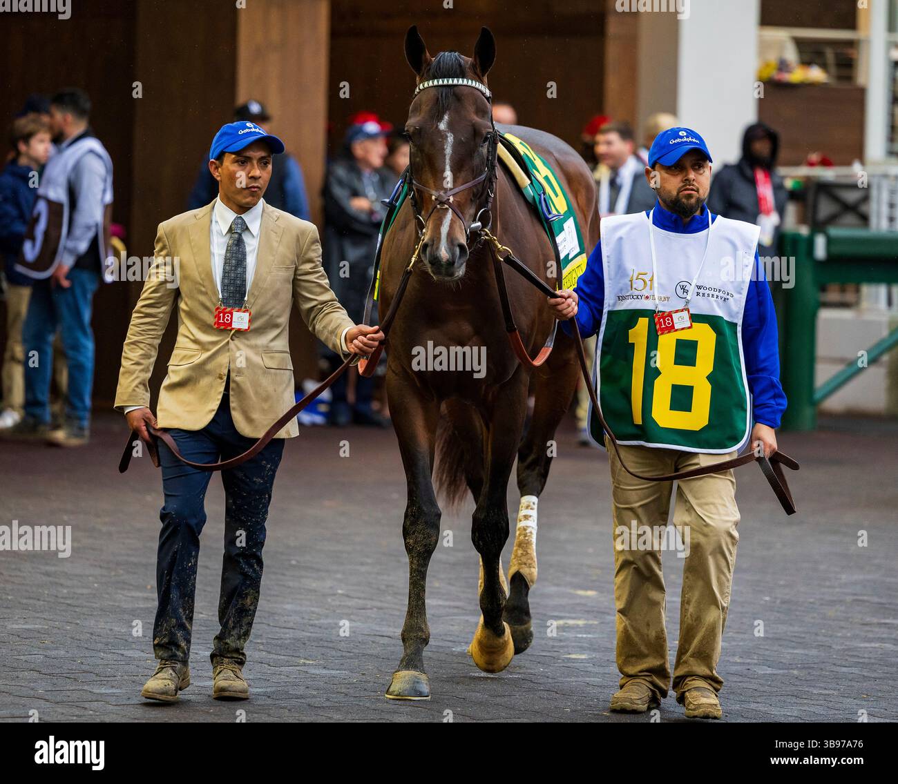 May 3, 2025, Louisville, Ky, USA: Sovereignty (18) in the paddock prior ...