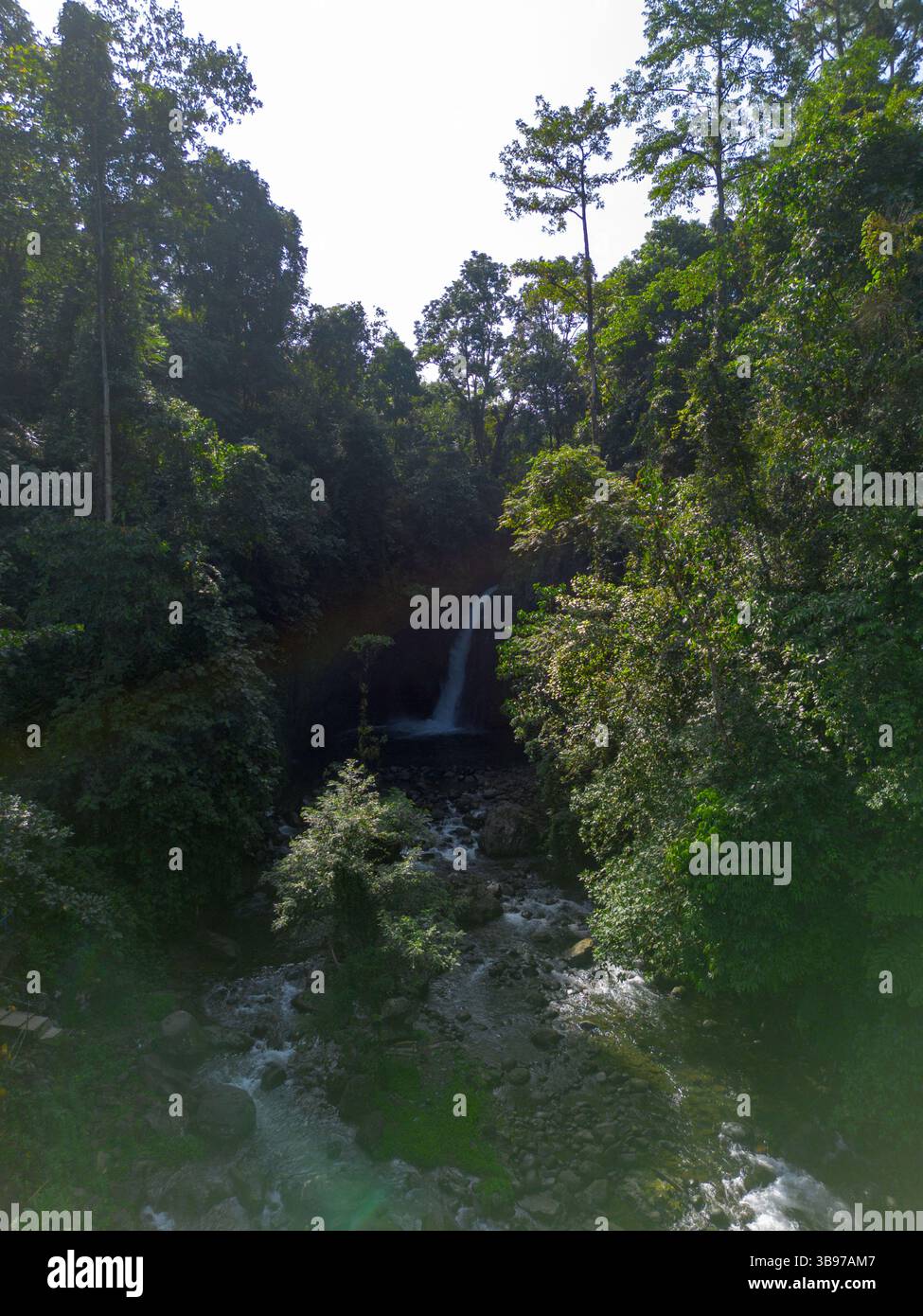 Natural Beauty of Tropical Green Forests with Mountains and Waterfalls ...