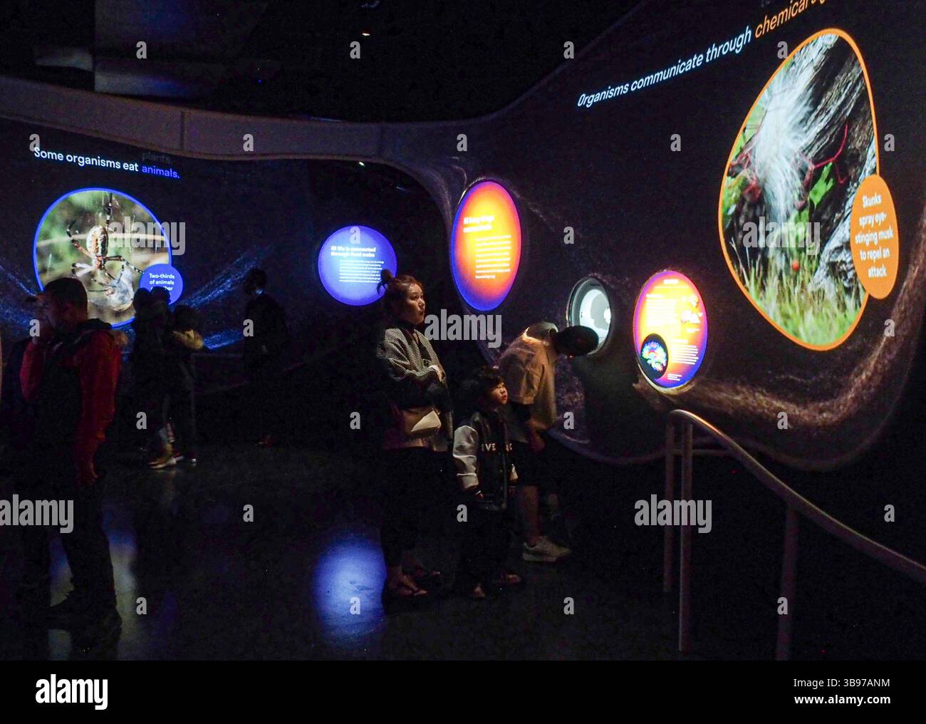 Science education through interactive displays hi-res stock photography ...