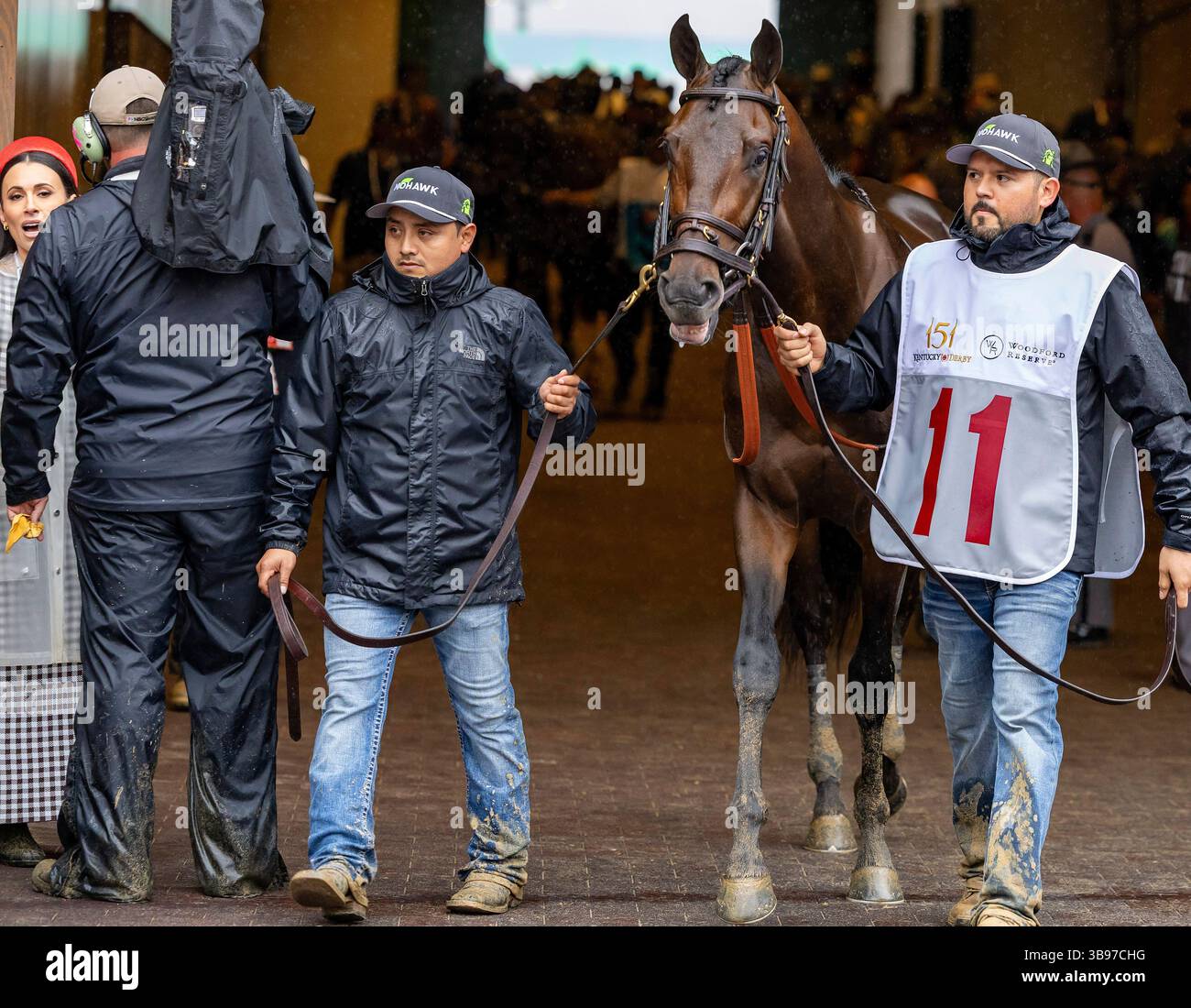 May 3, 2025, Louisville, Ky, USA: Flying Mohawk (11) in the paddock for ...