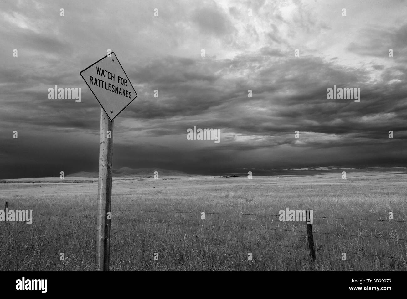 Rattlesnake warning sign at the entrance to the Writing On Stone ...