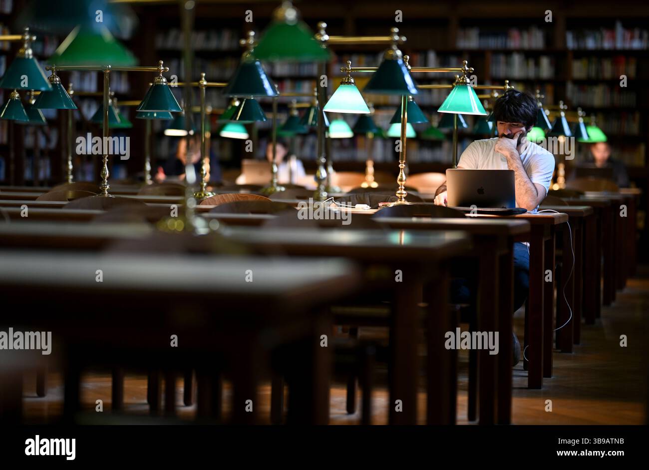 THEME PICTURE - Students studying in a library in the main building of ...