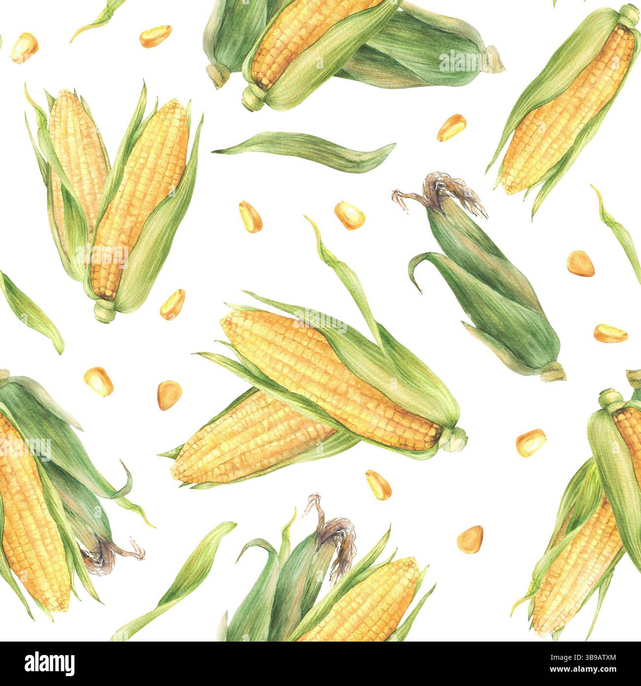 Sweet Corn.Watercolor seamless pattern. Yellow cut and whole maize cob, kernel of corn, husks ...