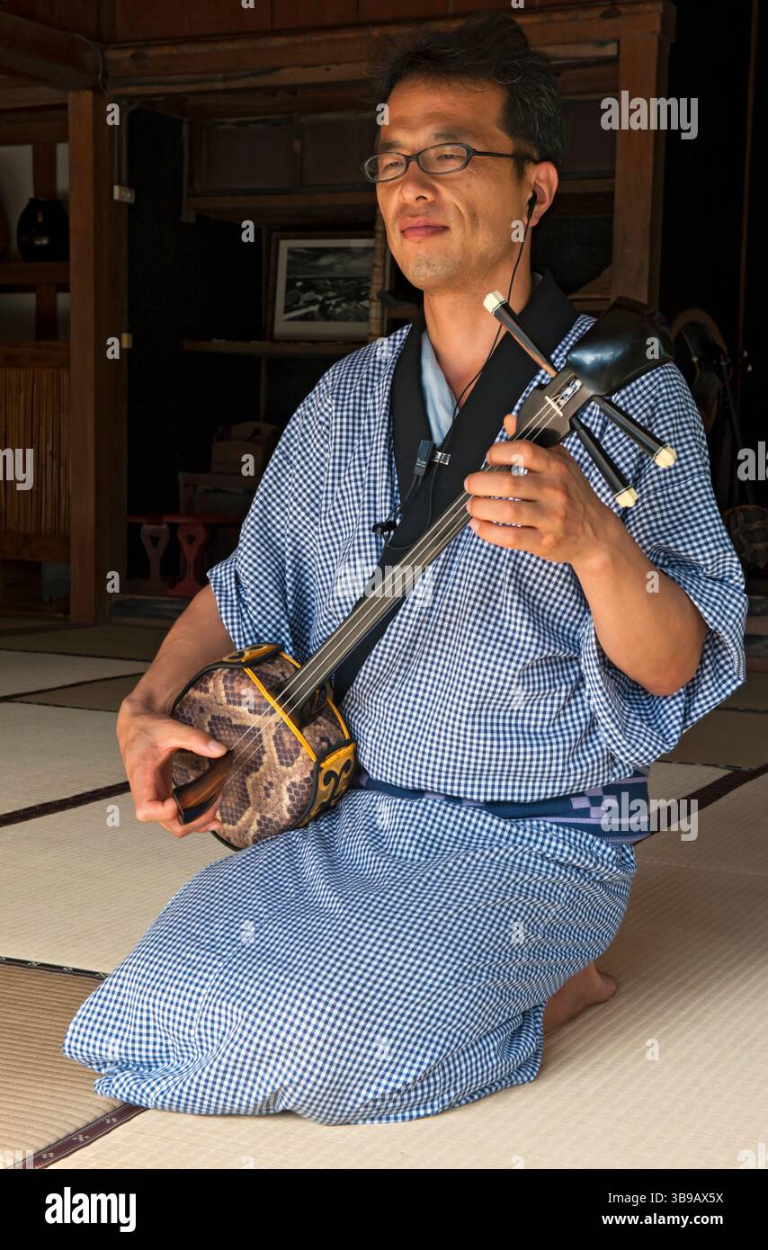 Okinawa lute hi-res stock photography and images - Alamy