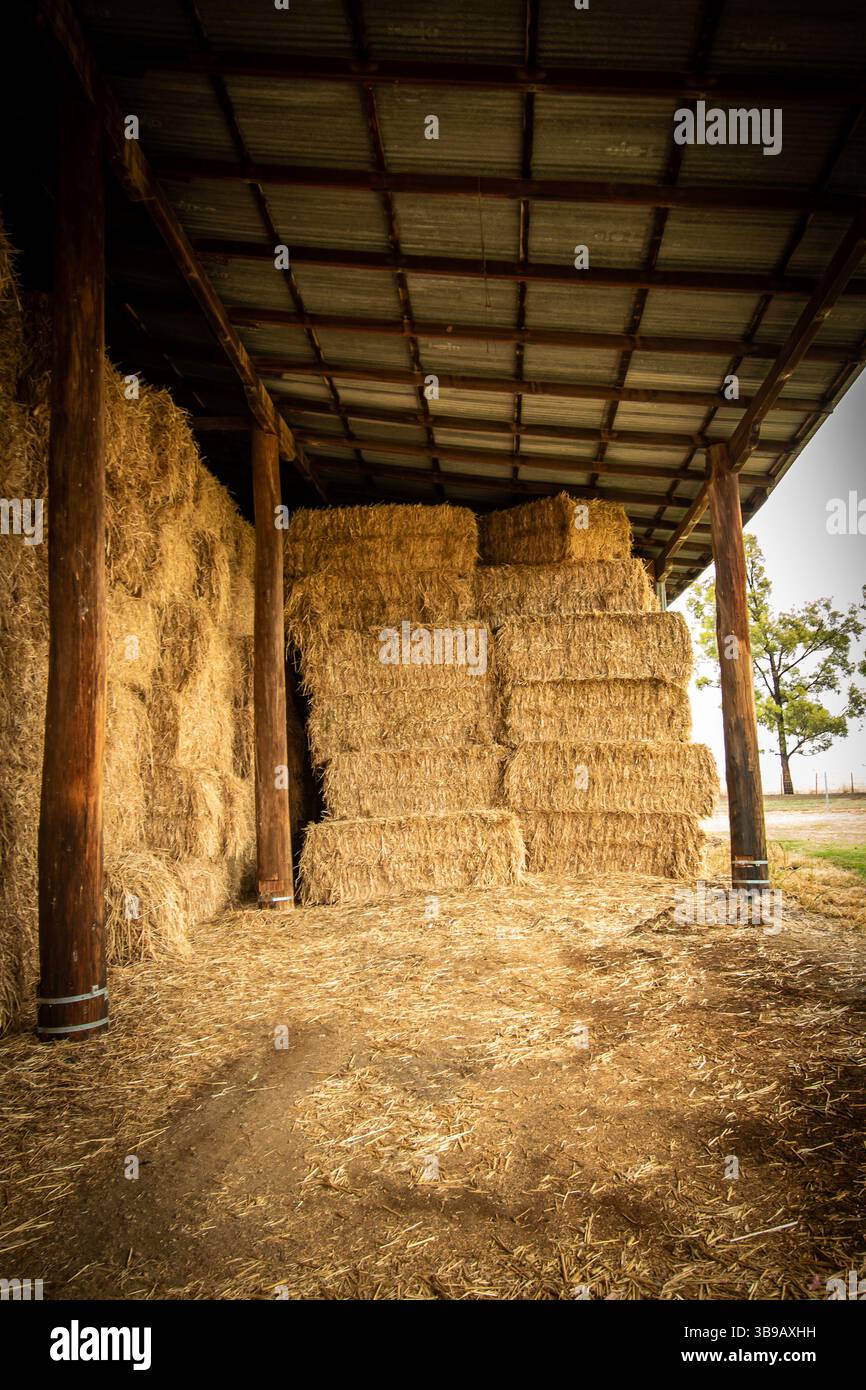 Hay bale field with barn hi-res stock photography and images - Alamy