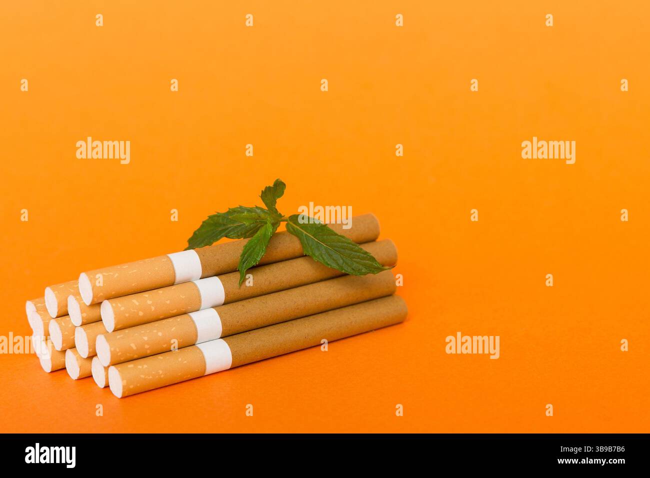 Menthol cigarettes and fresh mint leaves on colored background, Many ...