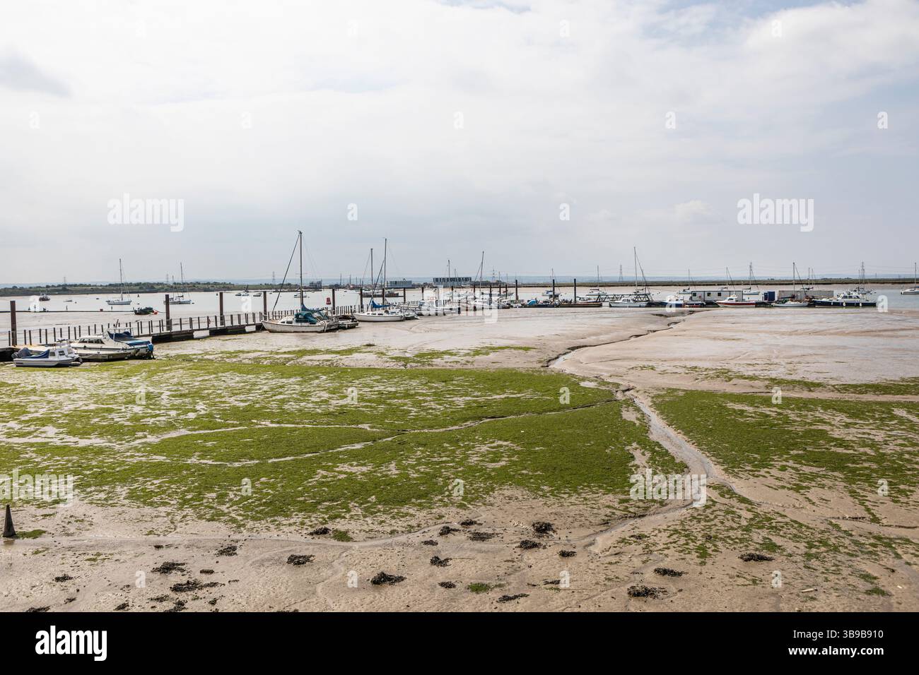 Boats moored on the Sir Robin Knox-Johnston Pontoon on The Swale near ...
